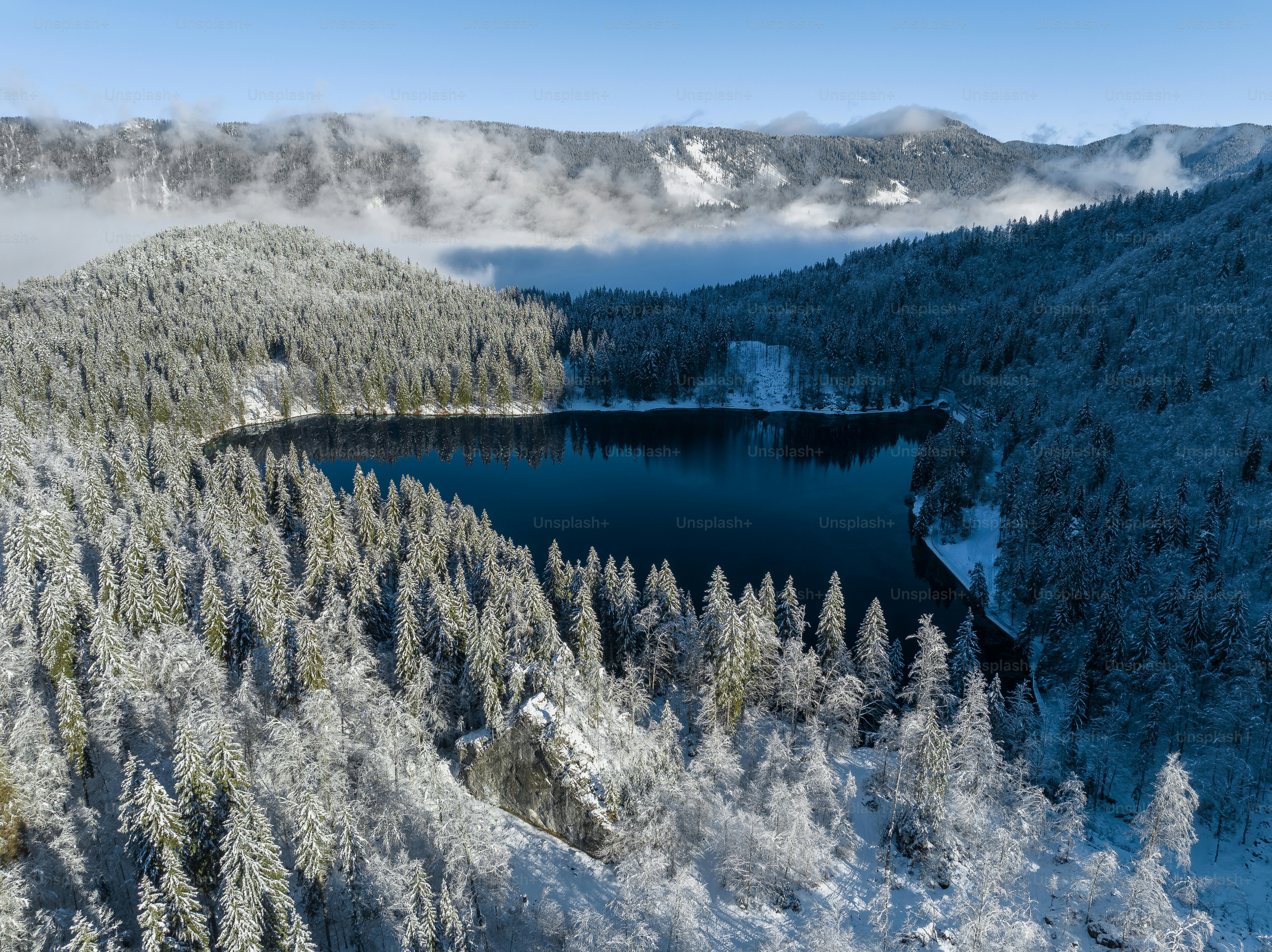 A large body of water surrounded by snow covered trees photo ...