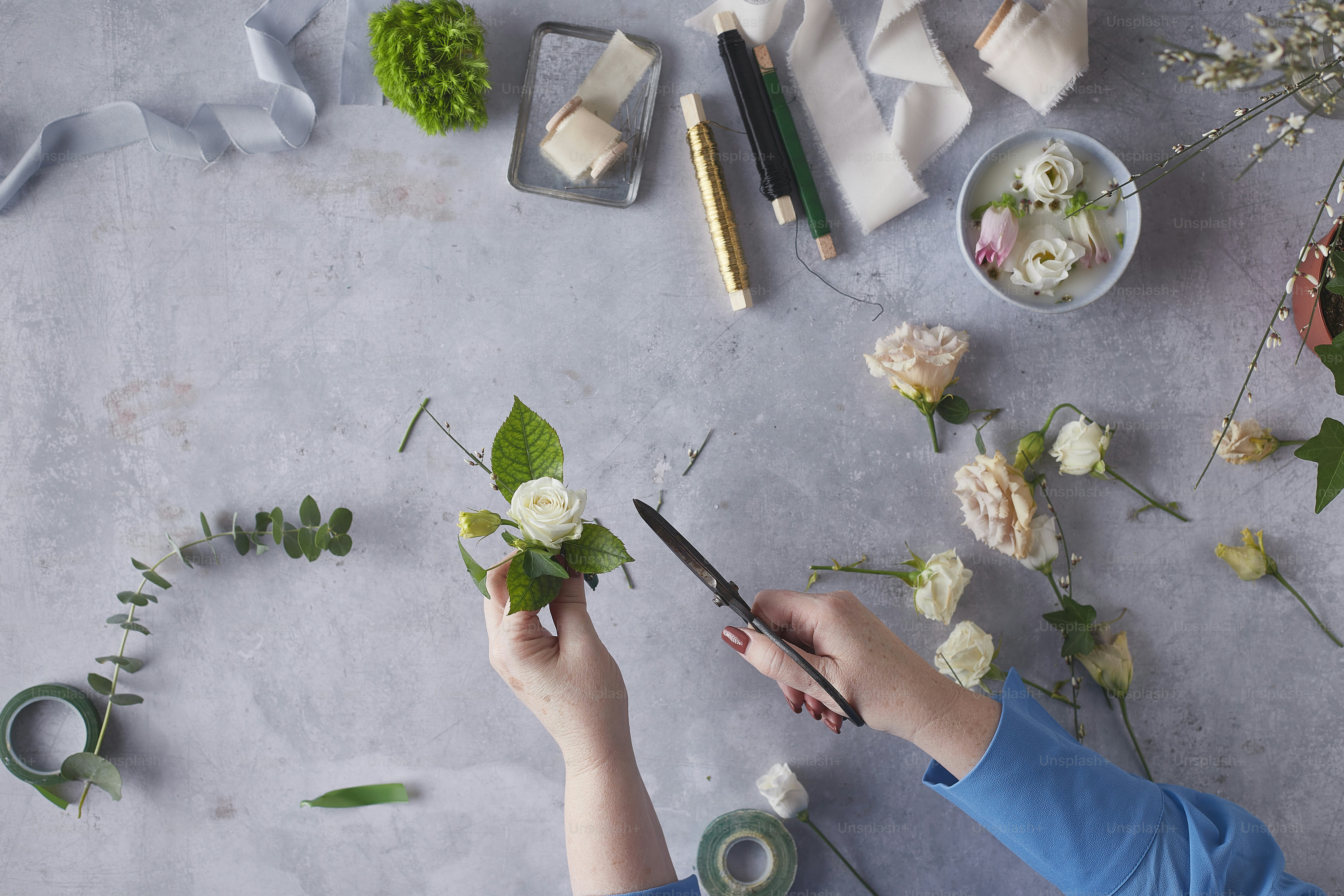 A person cutting flowers with a pair of scissors photo – Wedding Image ...