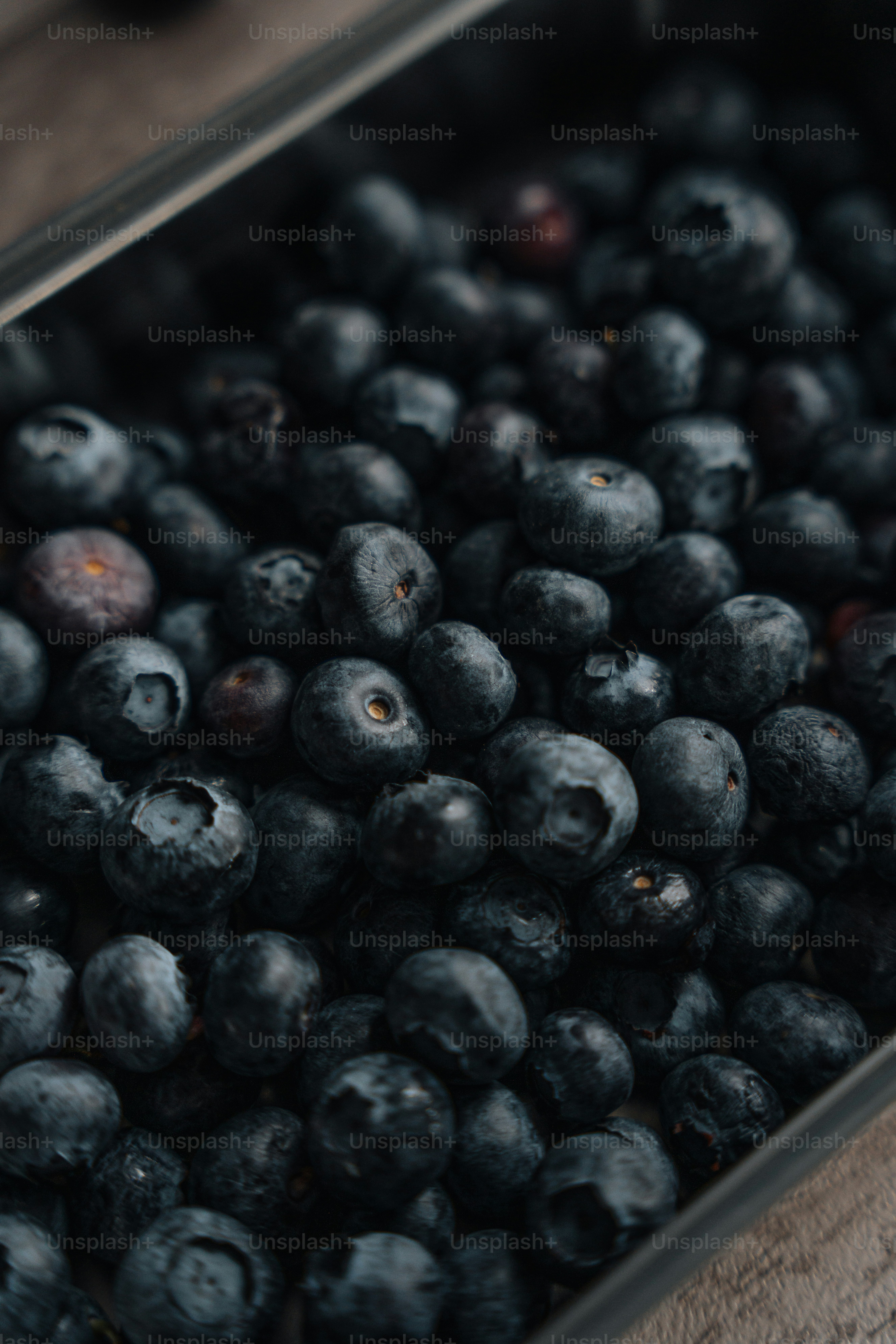 A close up of blueberries in a metal container photo – Fruit Image on ...