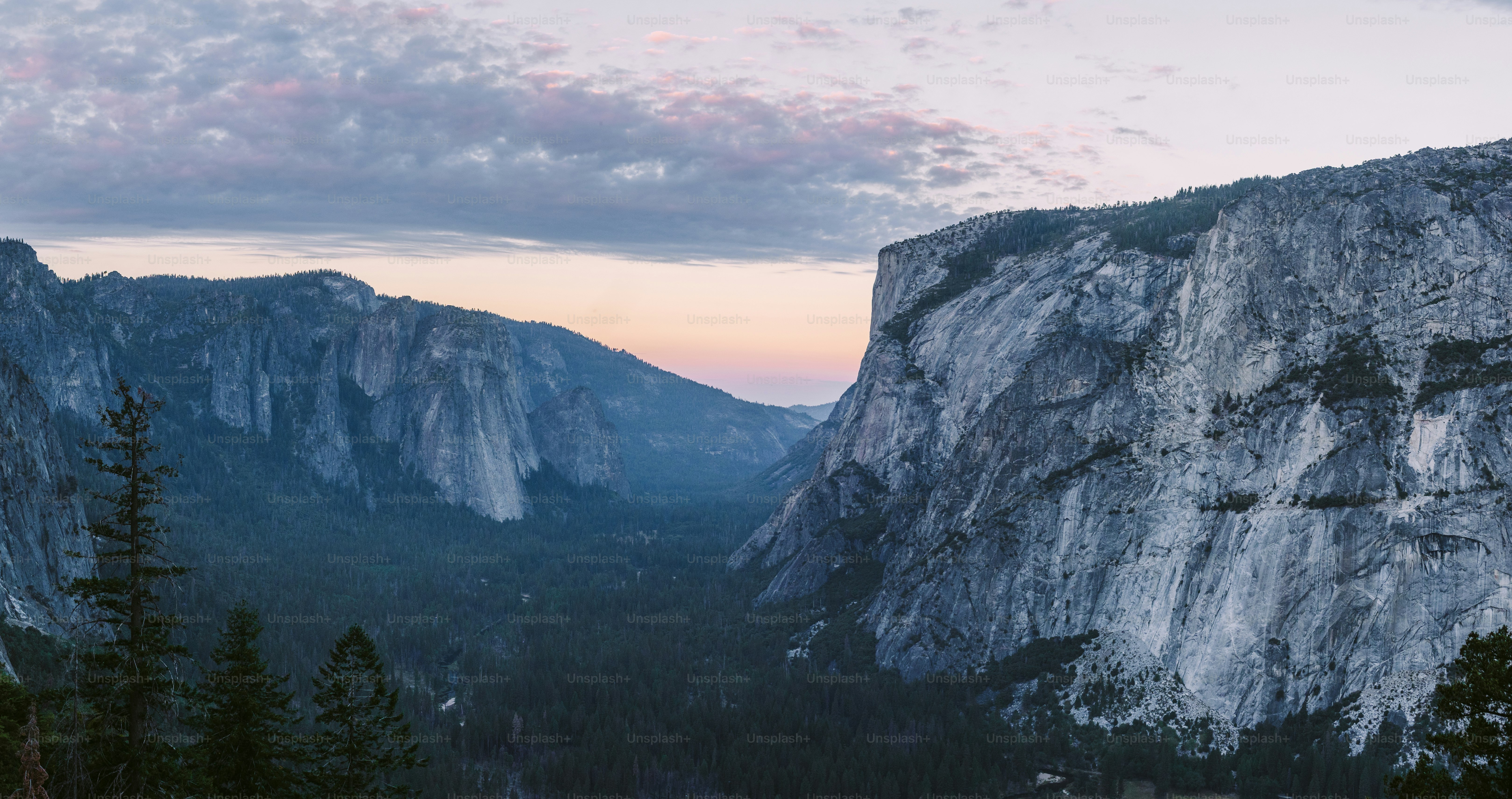 A view of the mountains and trees from the top of a mountain photo ...