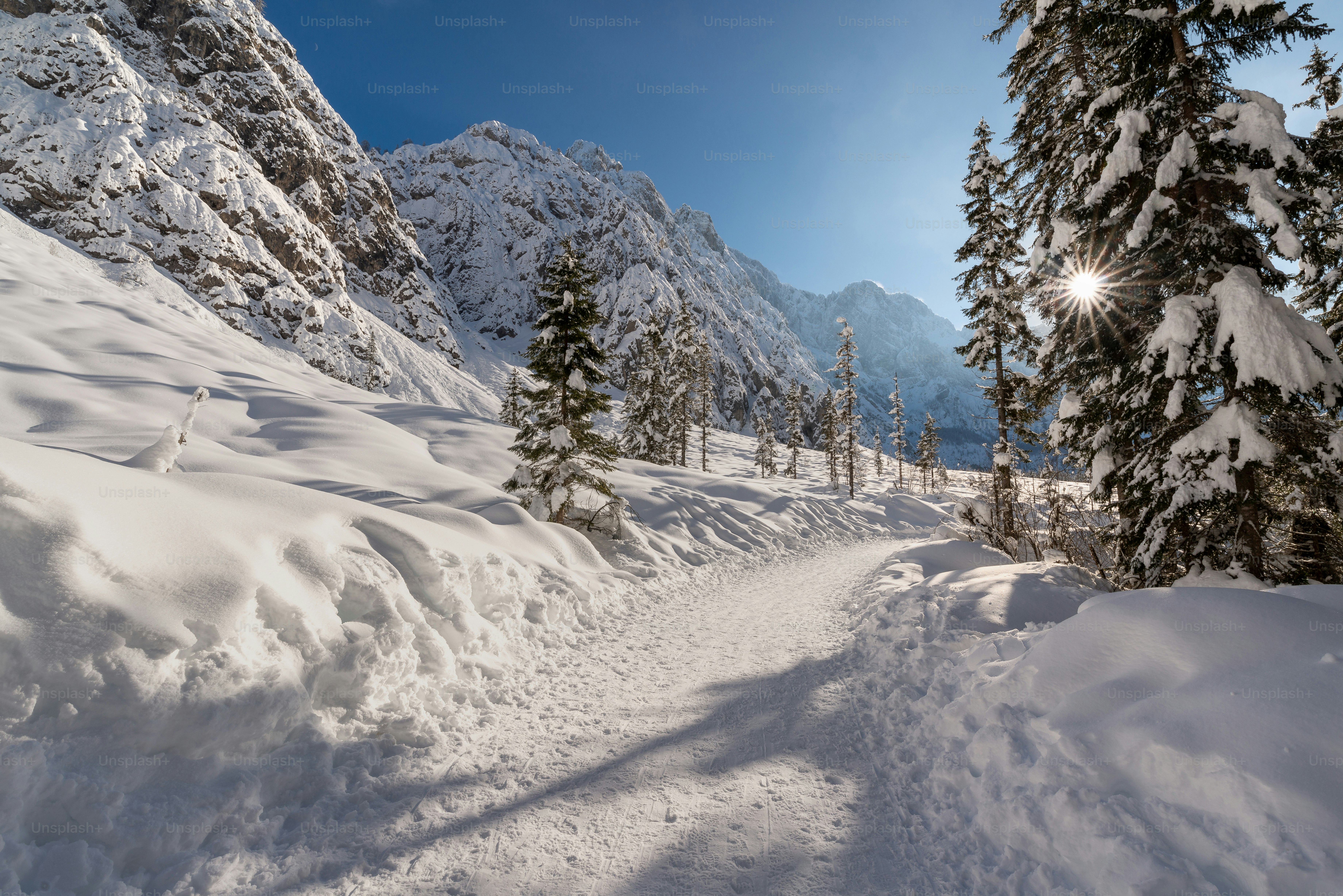 Pathways Pictures | Download Free Images on Unsplash