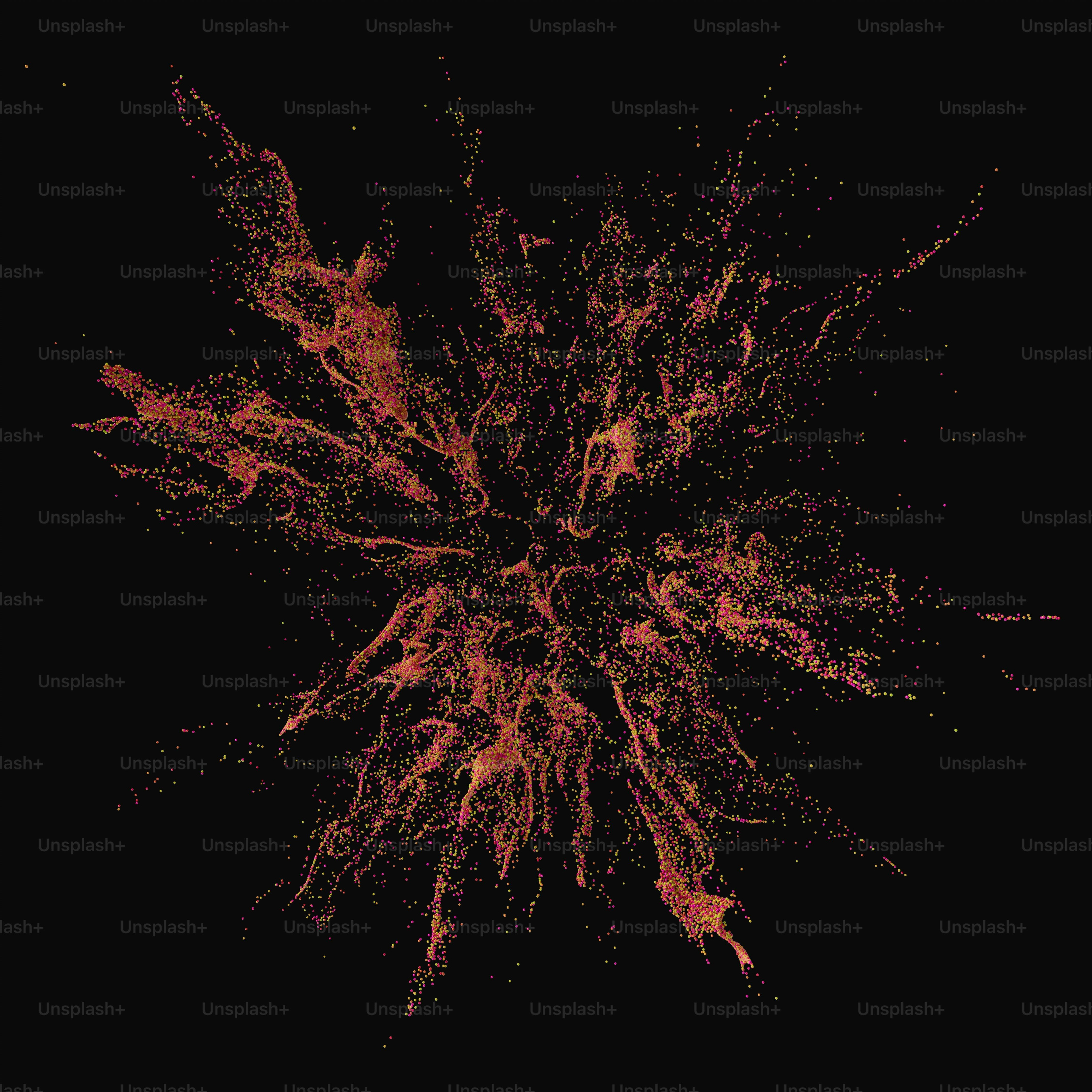 750+ Burst Pictures | Download Free Images on Unsplash