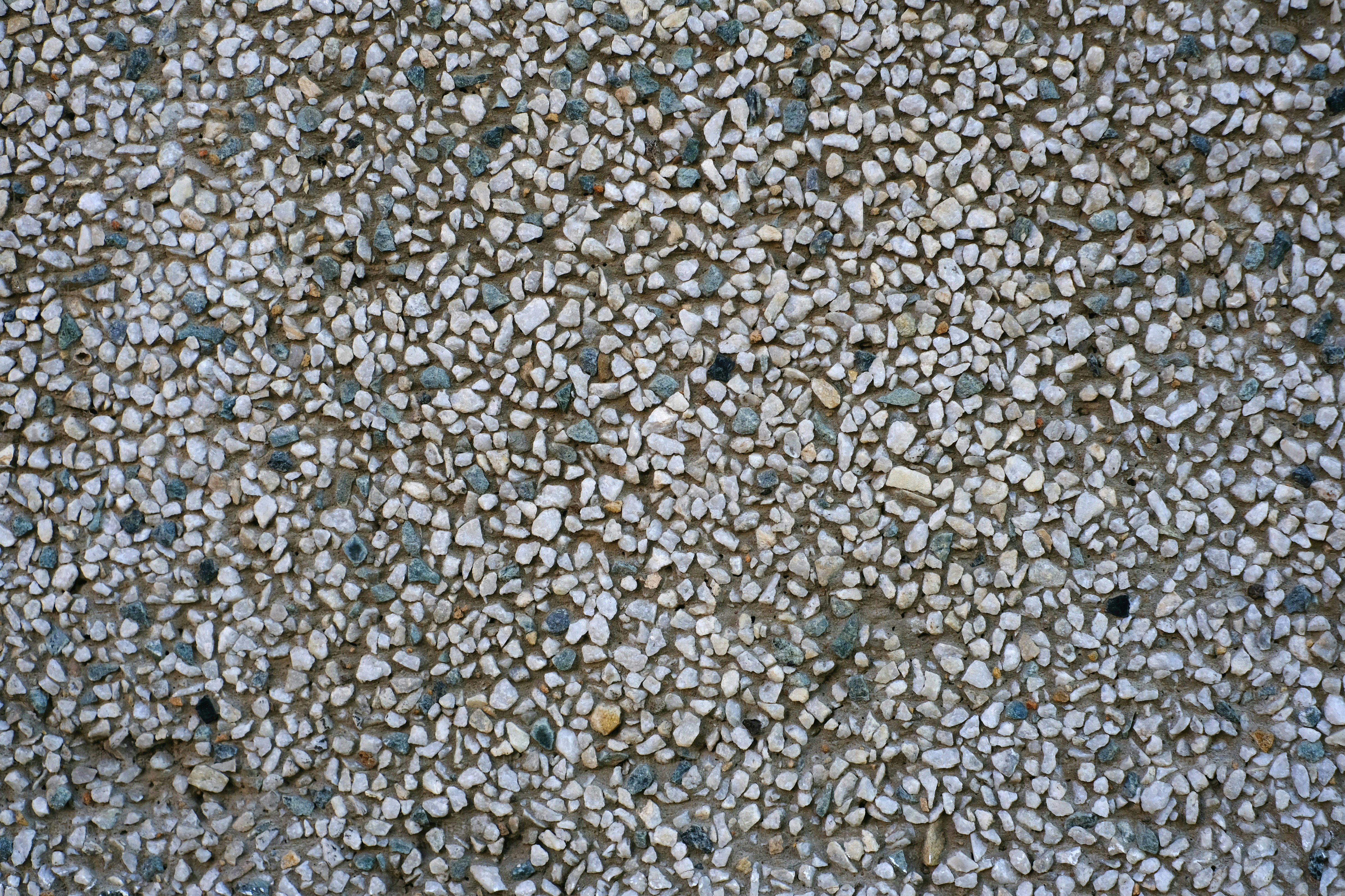 Fill The Frame Pictures | Download Free Images on Unsplash