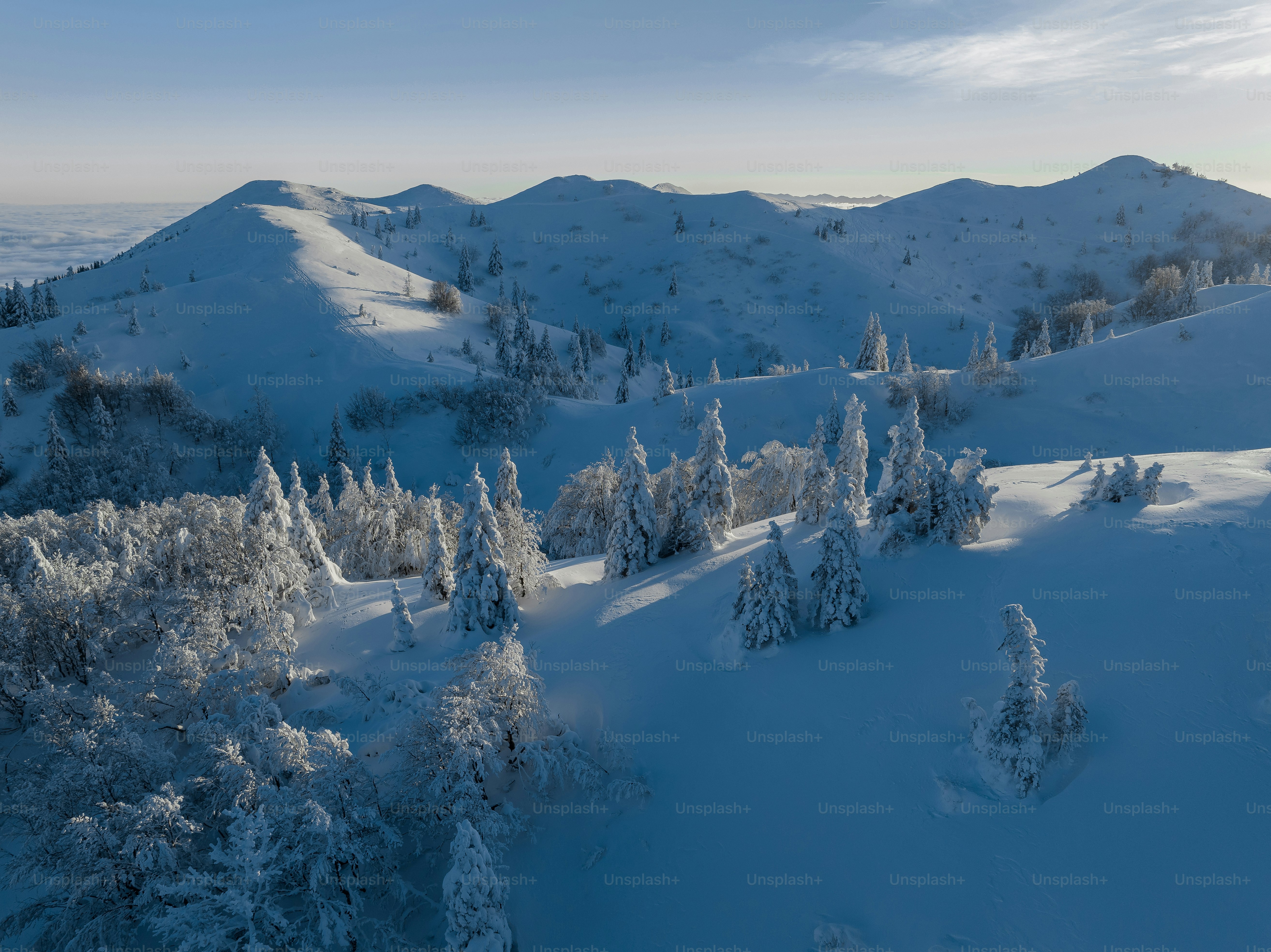 A snowy landscape with trees and mountains in the background photo ...