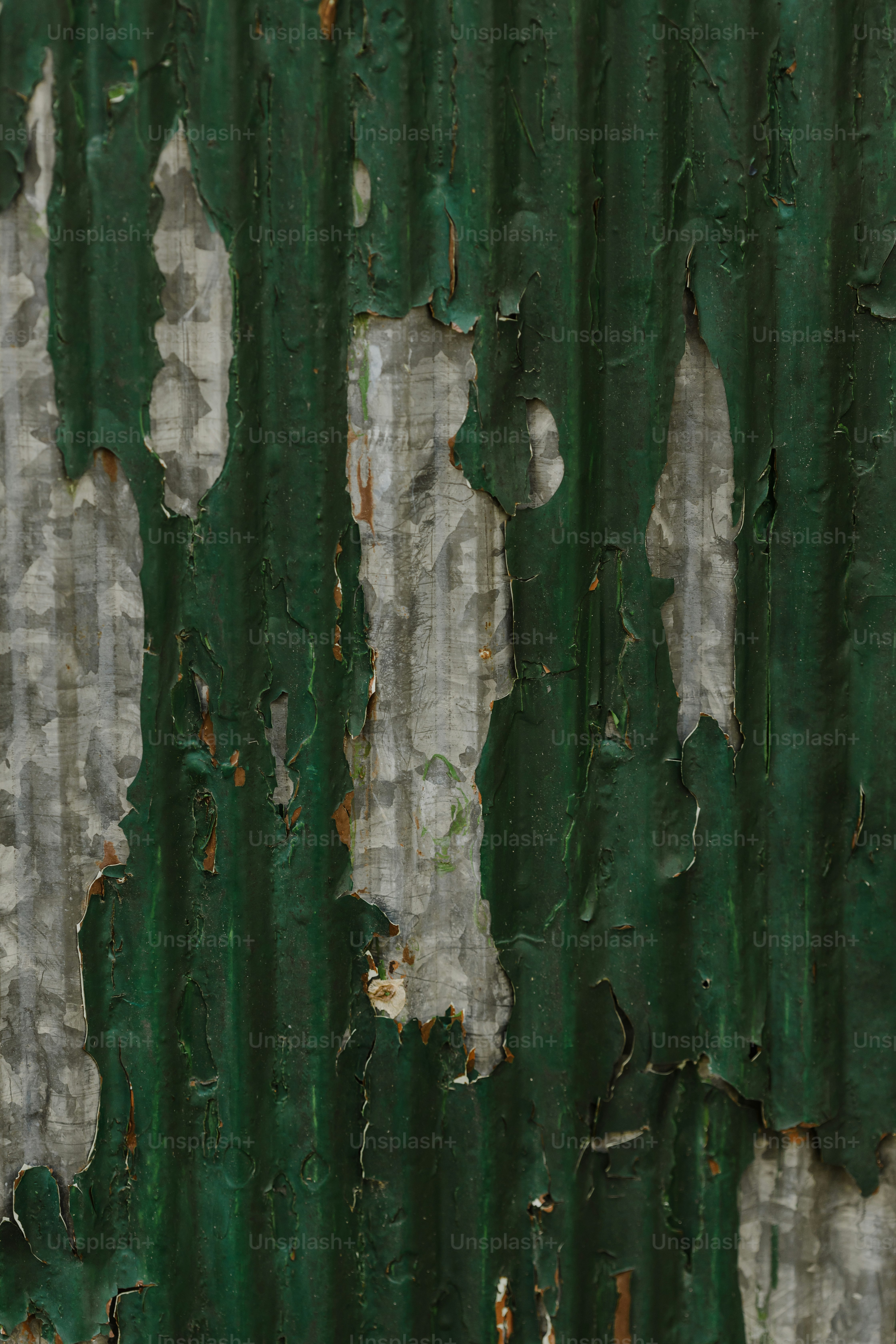 A close up of peeling paint on a green wall photo – Green Image on Unsplash
