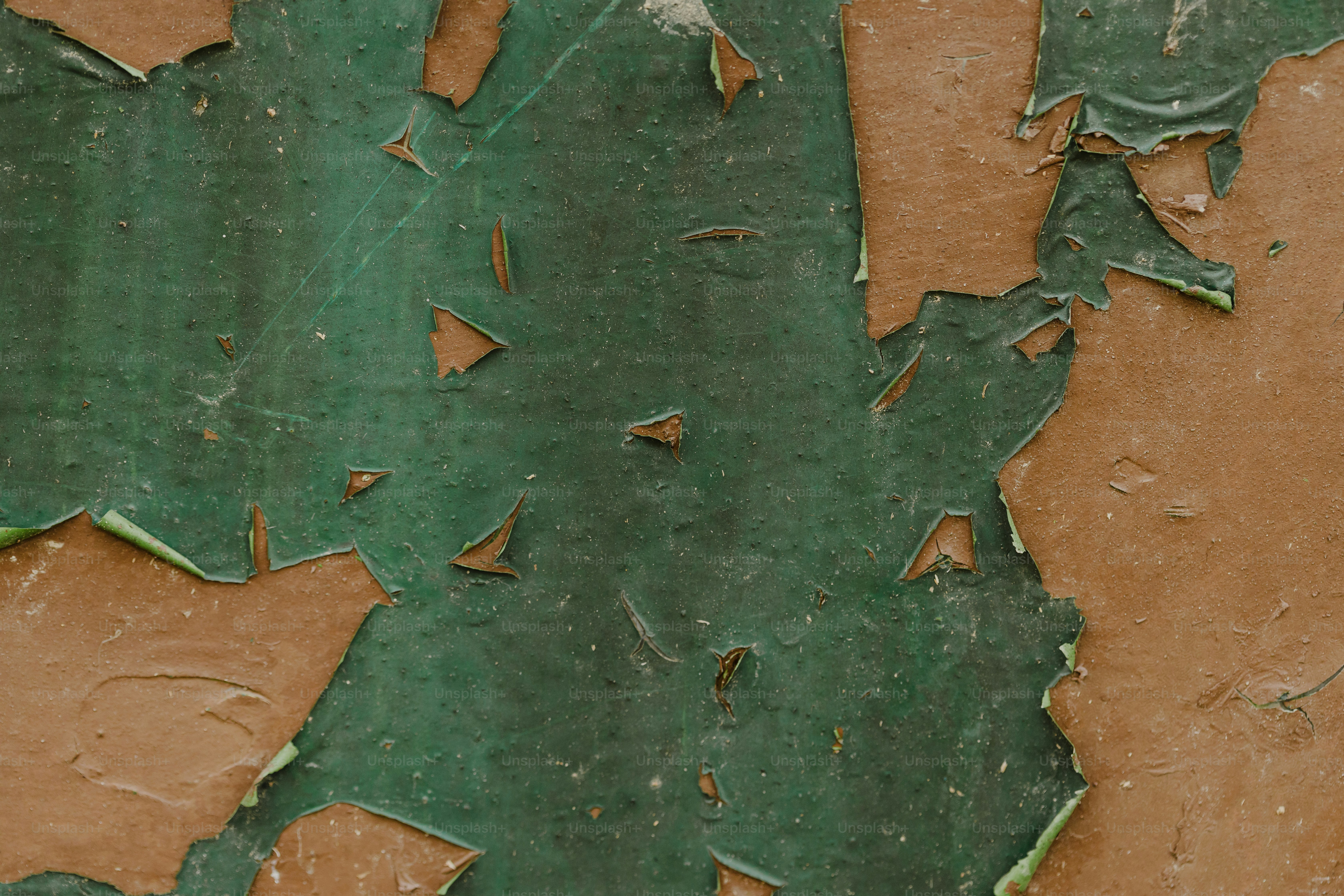 A close up of peeling paint on a green wall photo – Green Image on Unsplash