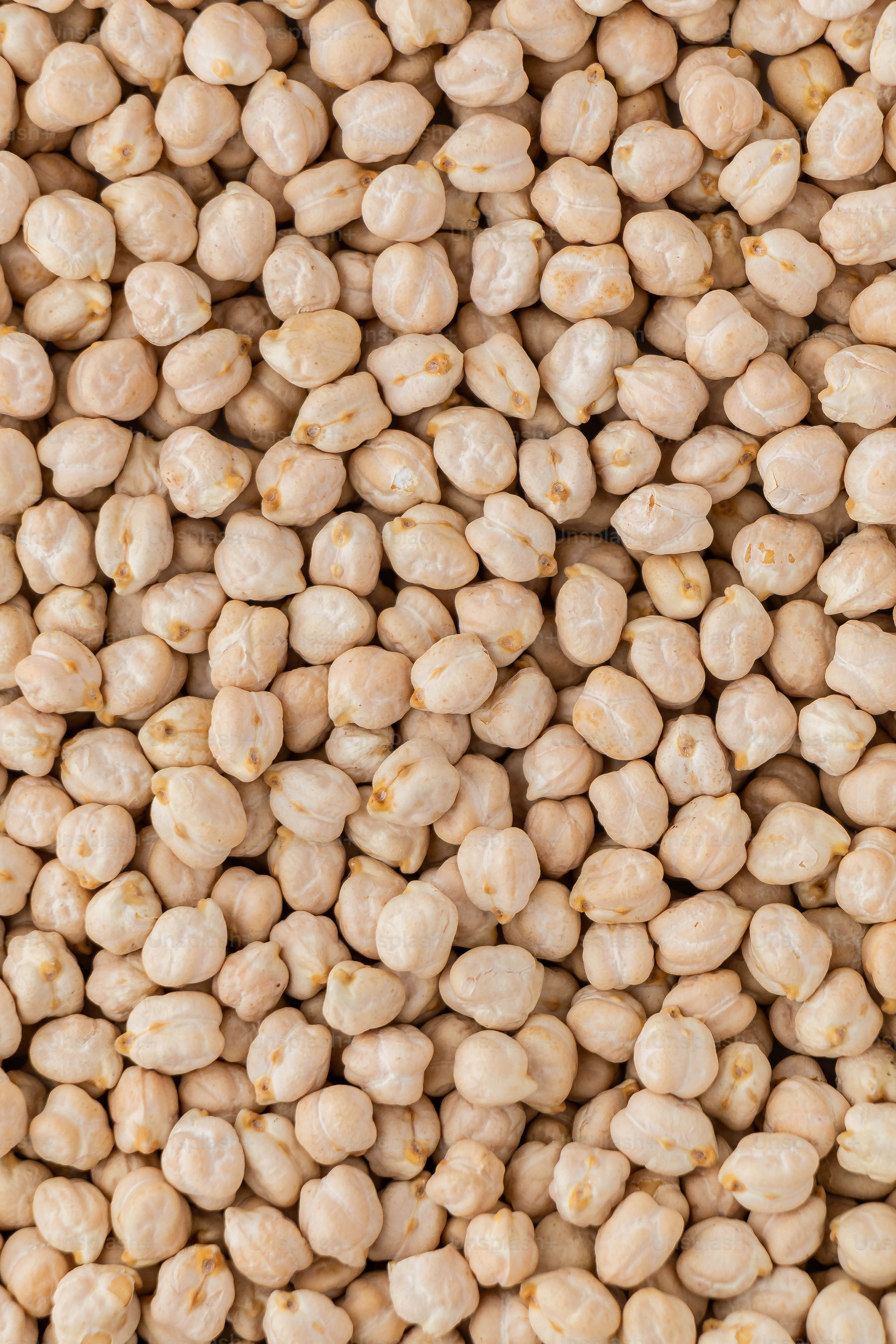 A close up of a bunch of chickpeas photo – Chickpeas Image on Unsplash