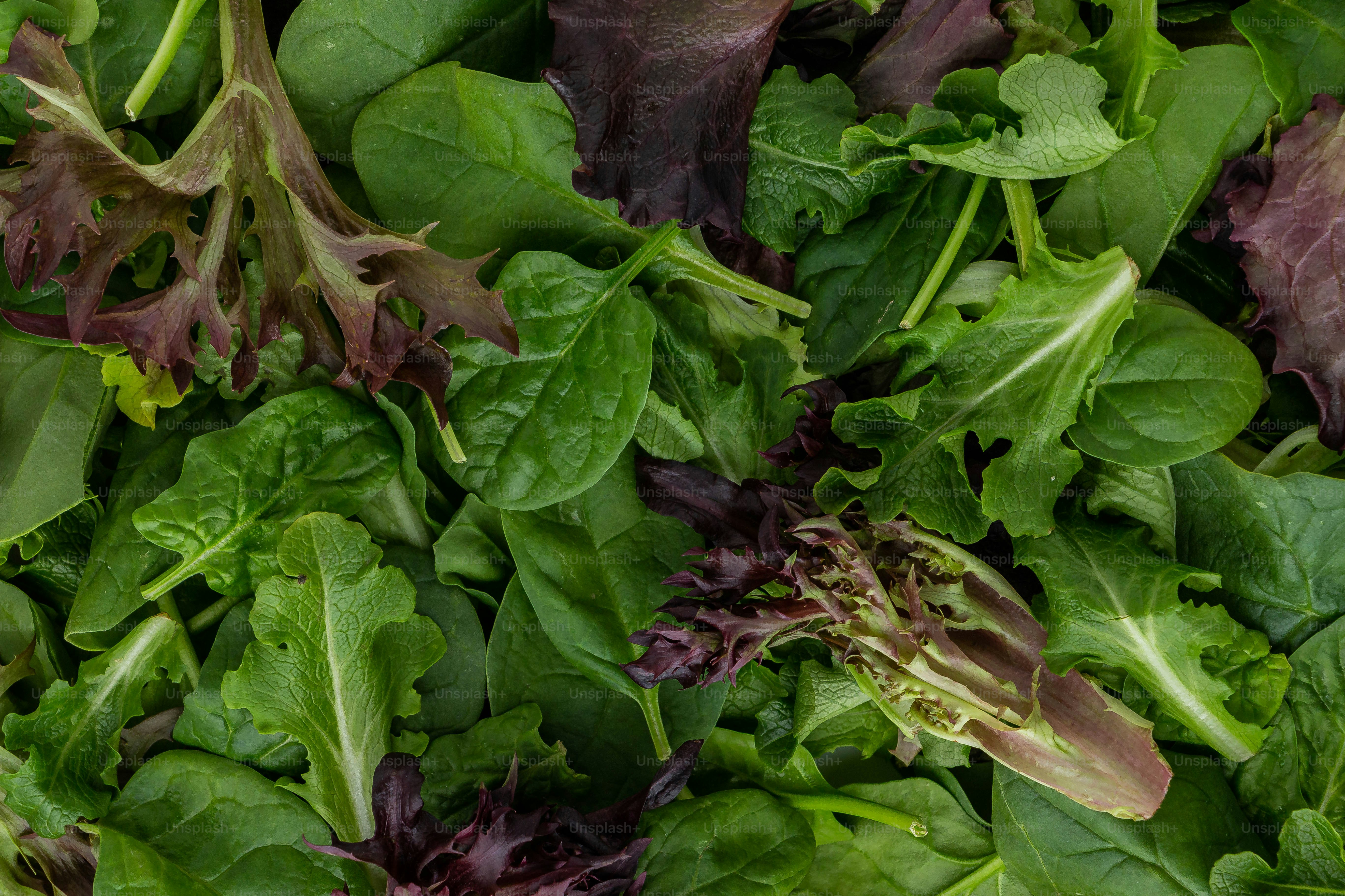A pile of green and purple leafy vegetables photo – Green leaves Image ...
