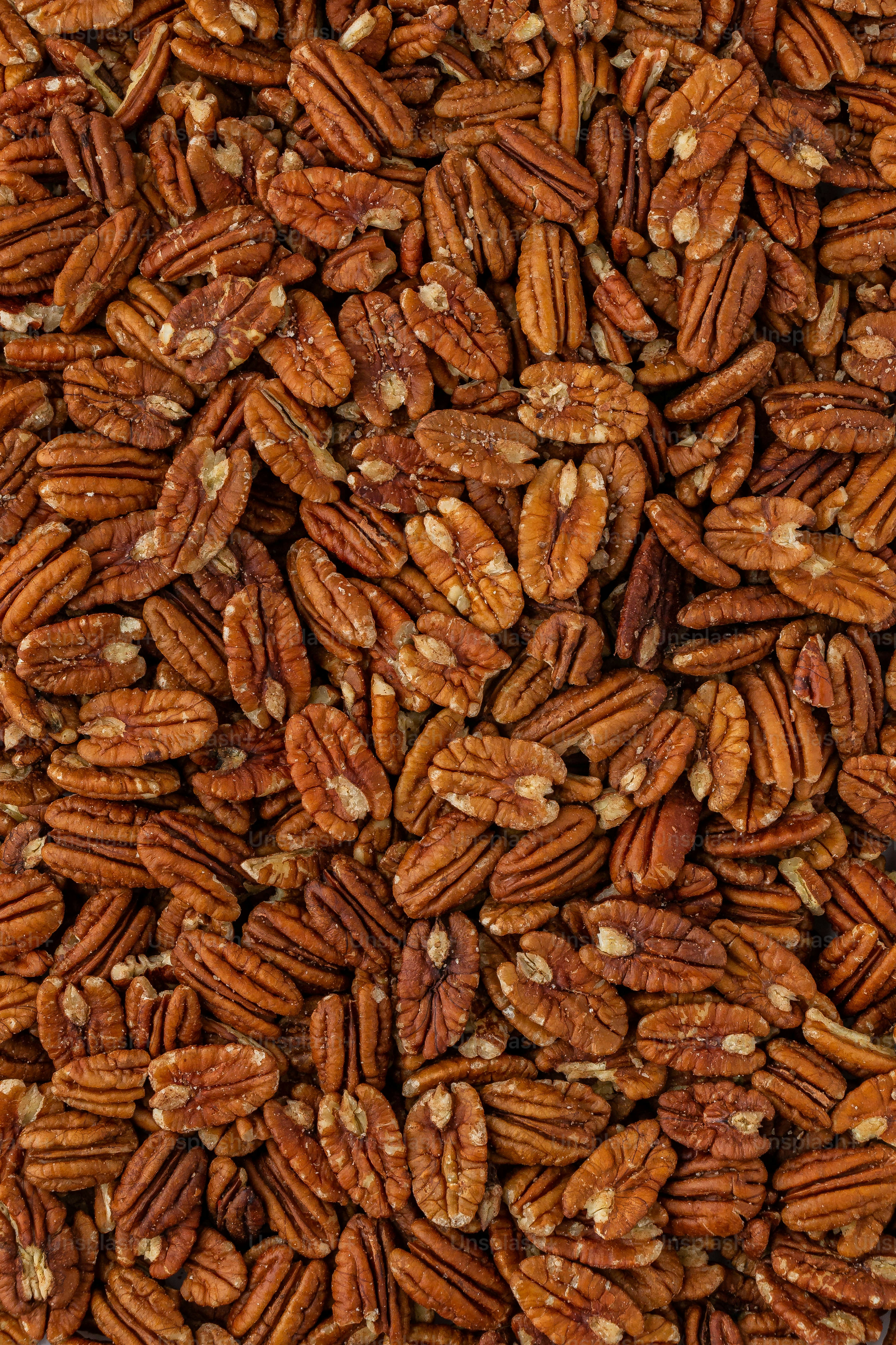 A pile of pecans is shown close up photo – Pecan Image on Unsplash