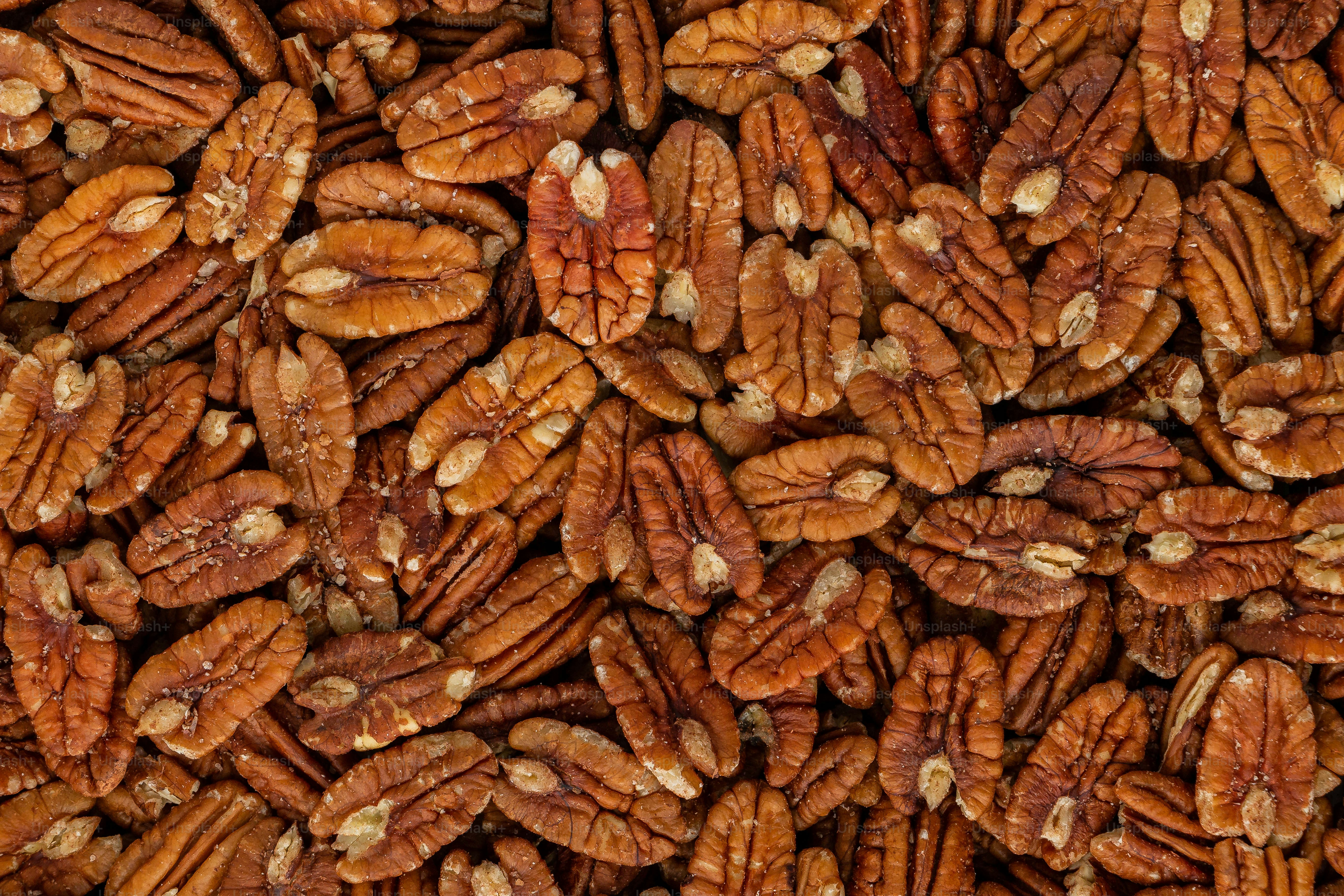 A pile of pecans is shown close up photo – Superfoods Image on Unsplash