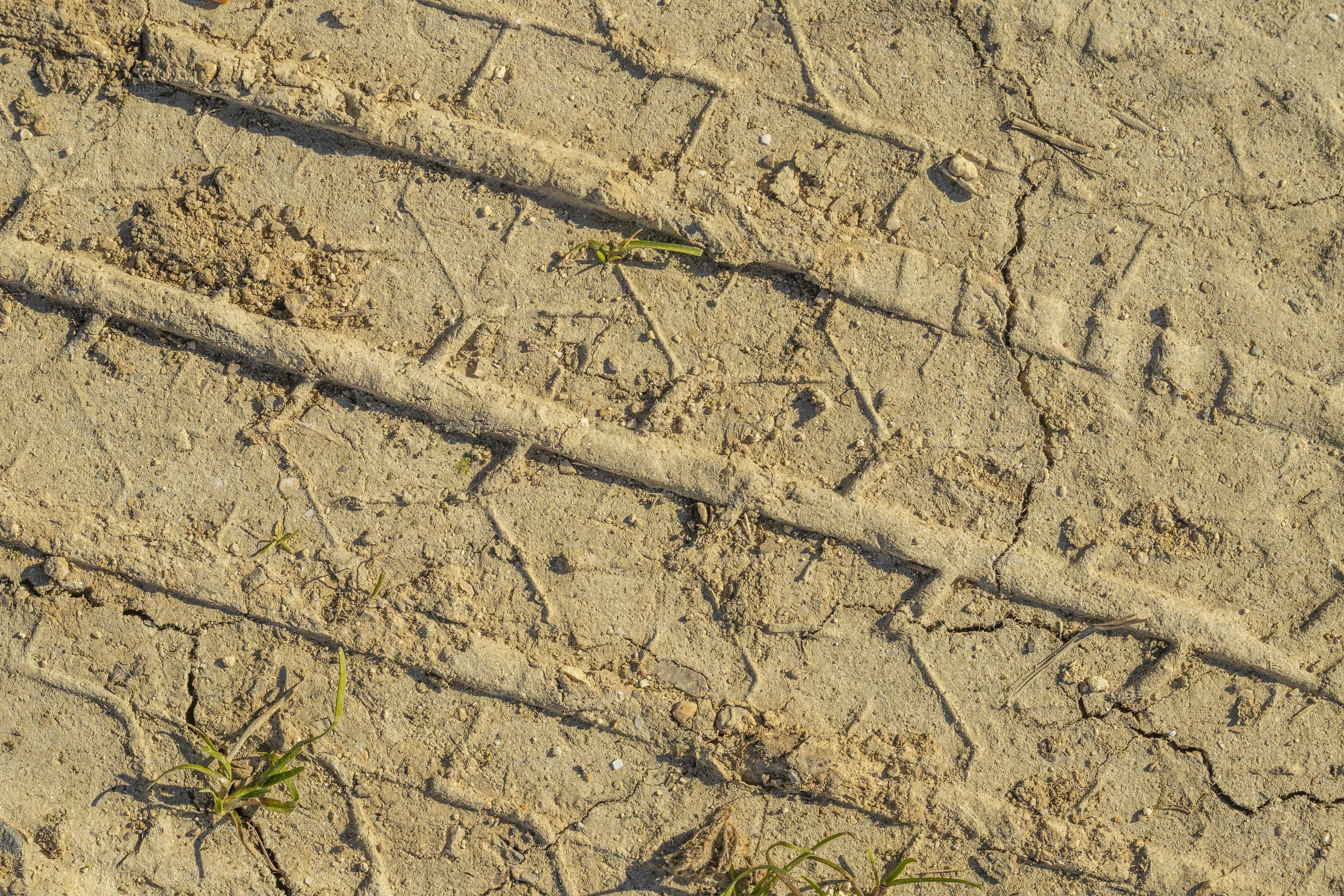 Dirt Trail Texture