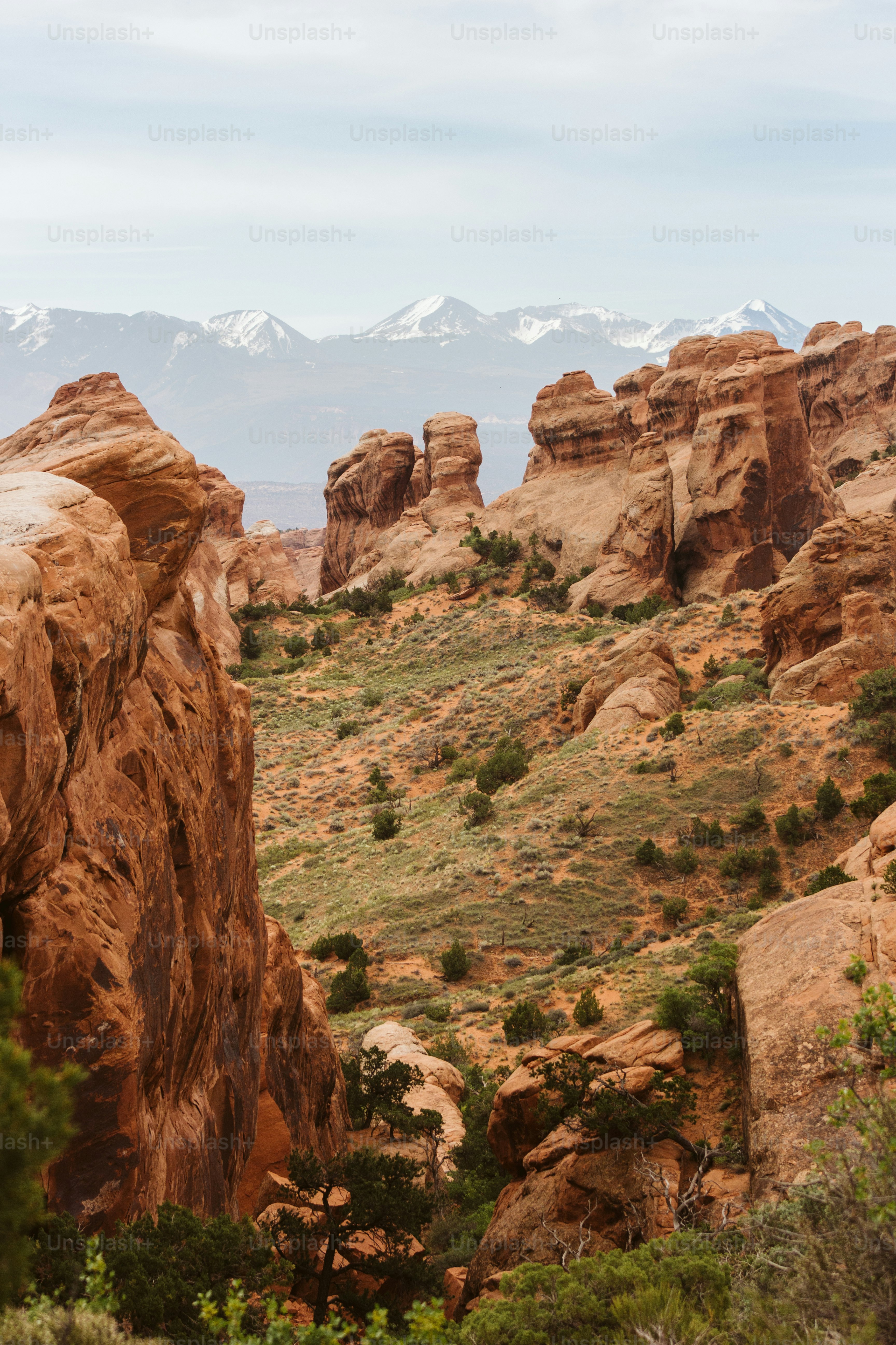 A view of a rocky landscape with mountains in the background photo ...