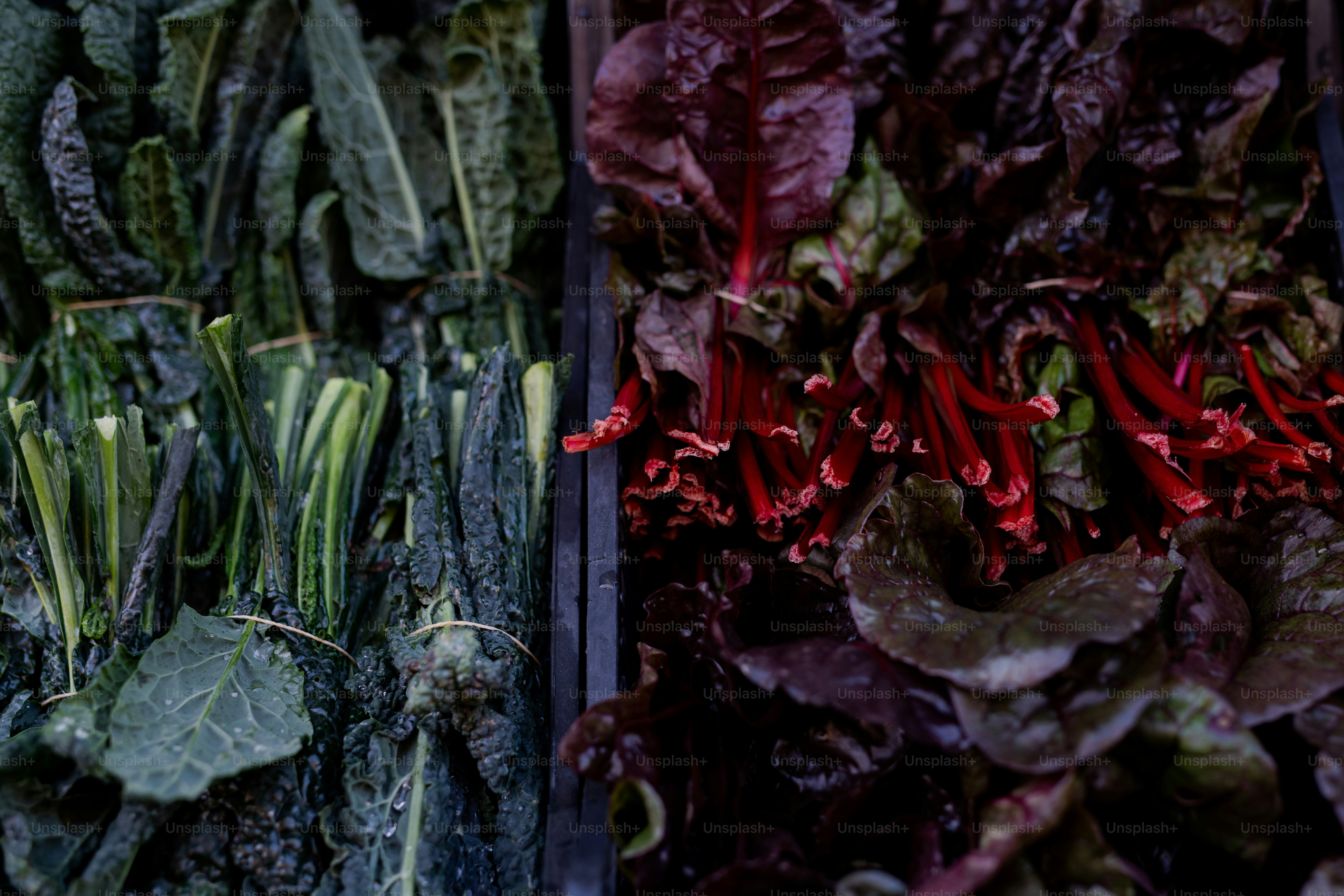 A bunch of different types of vegetables in bins photo – Food Image on ...