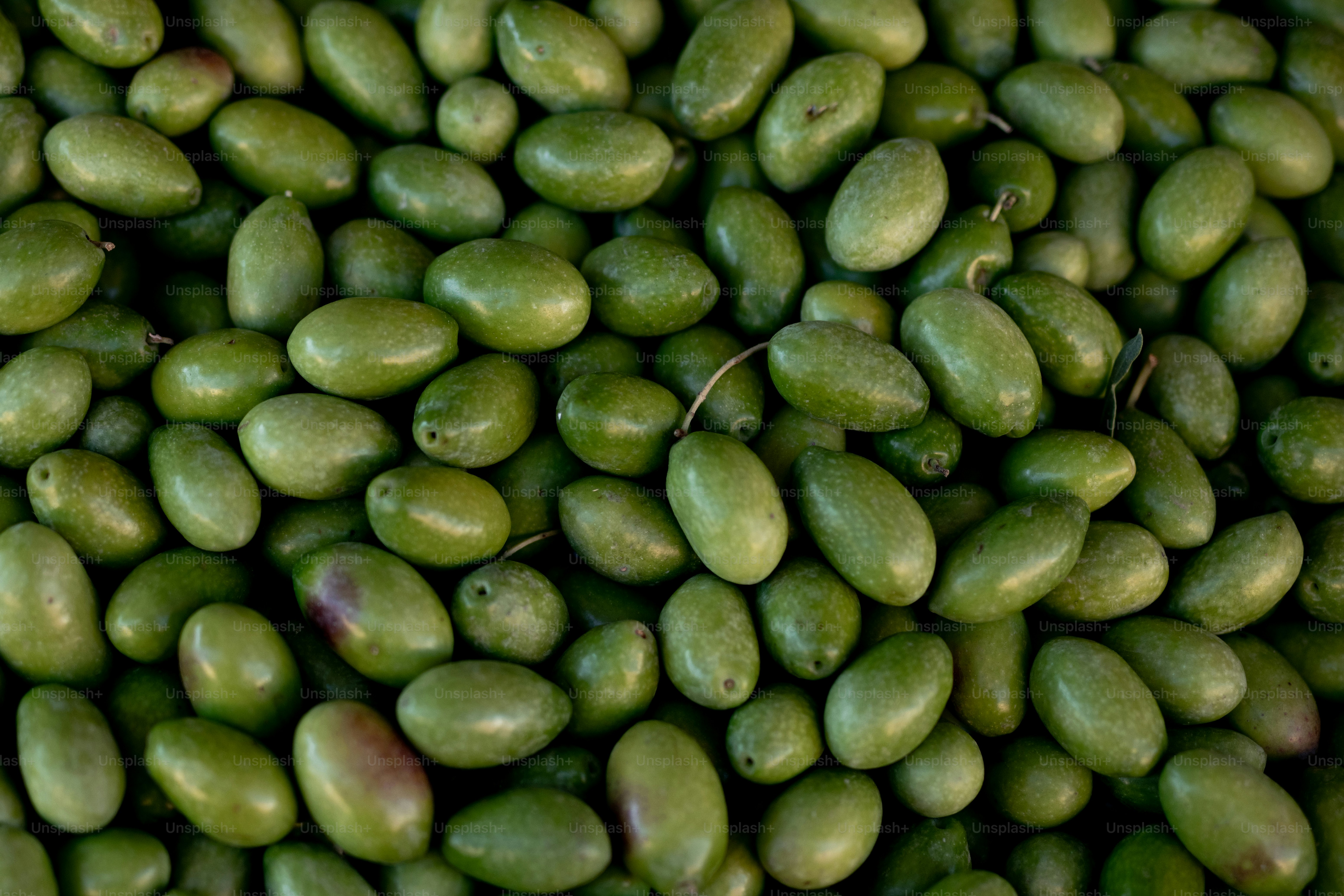750+ Olive Pictures | Download Free Images on Unsplash