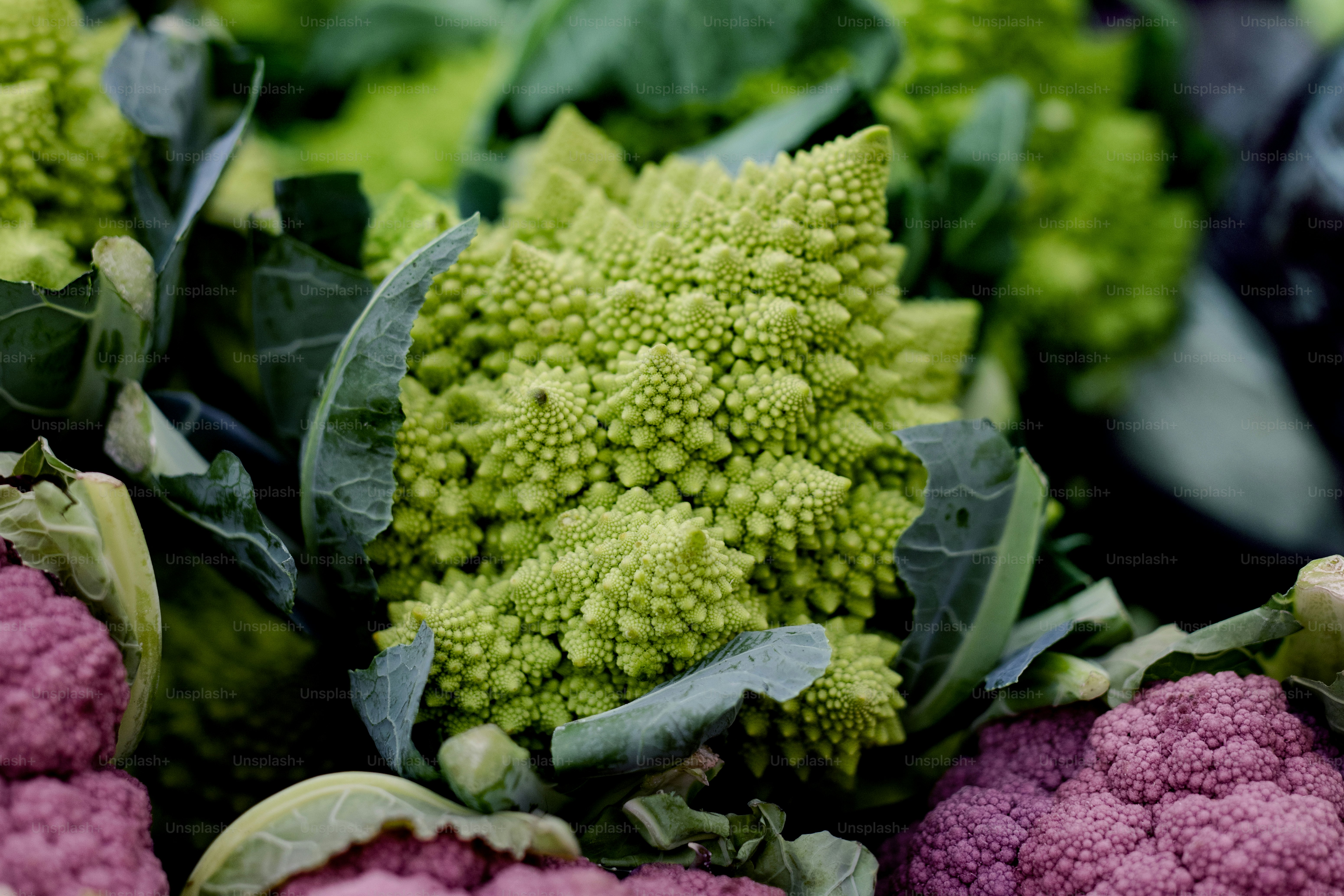 500+ Broccoli Pictures [HD] | Download Free Images on Unsplash