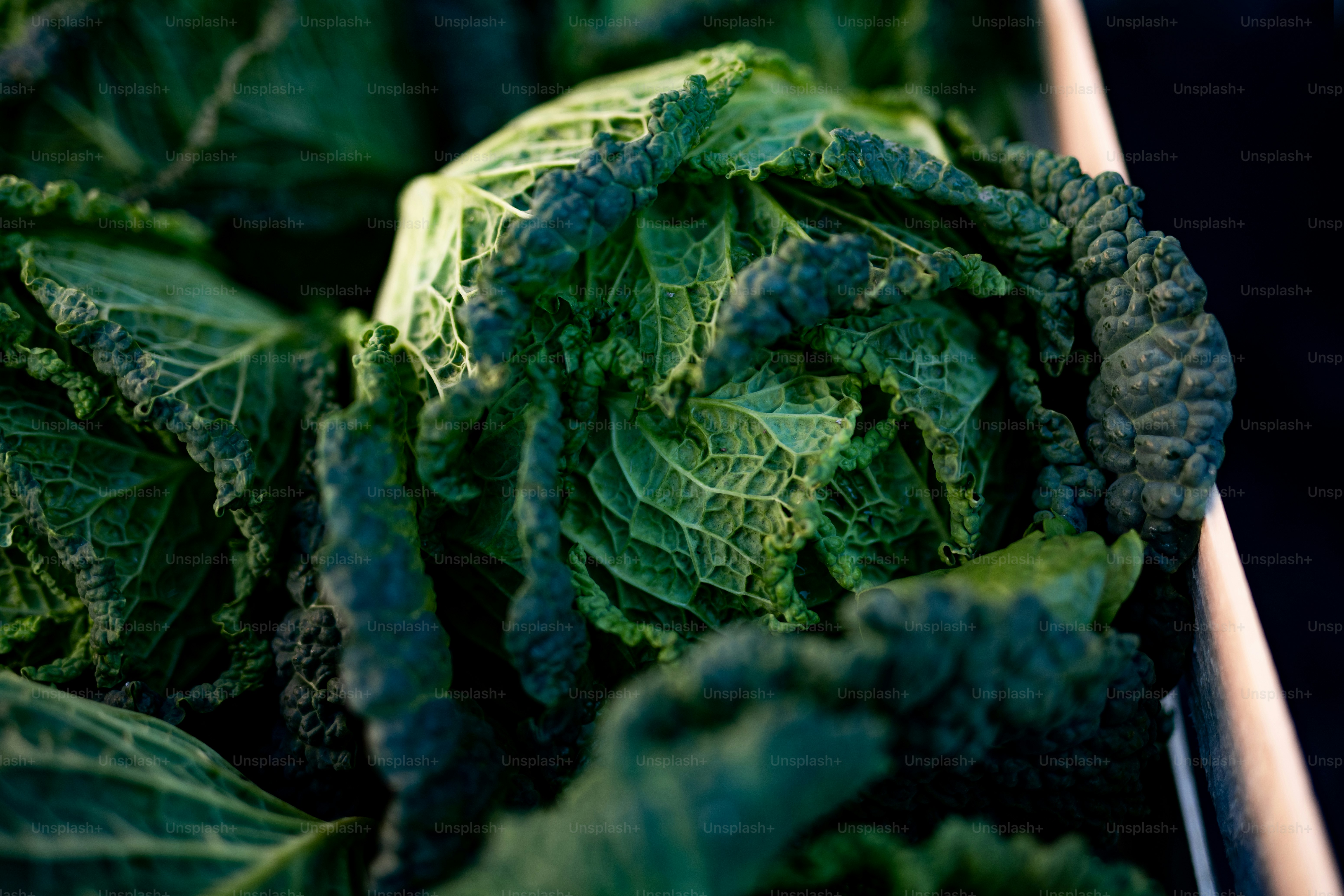 A pile of green leafy vegetables sitting on top of a table photo ...