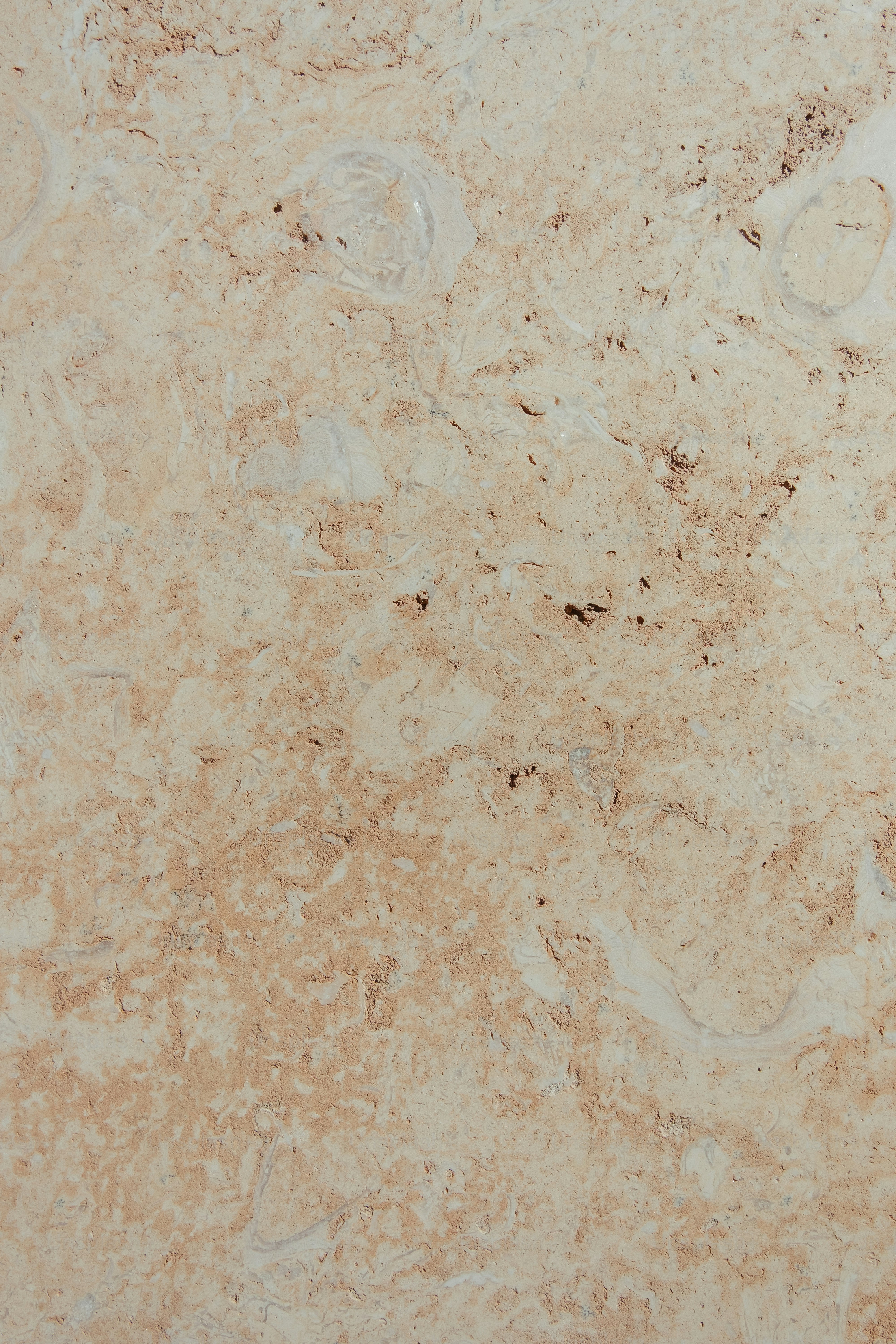 A close up view of a marble surface photo – Texture Image on Unsplash