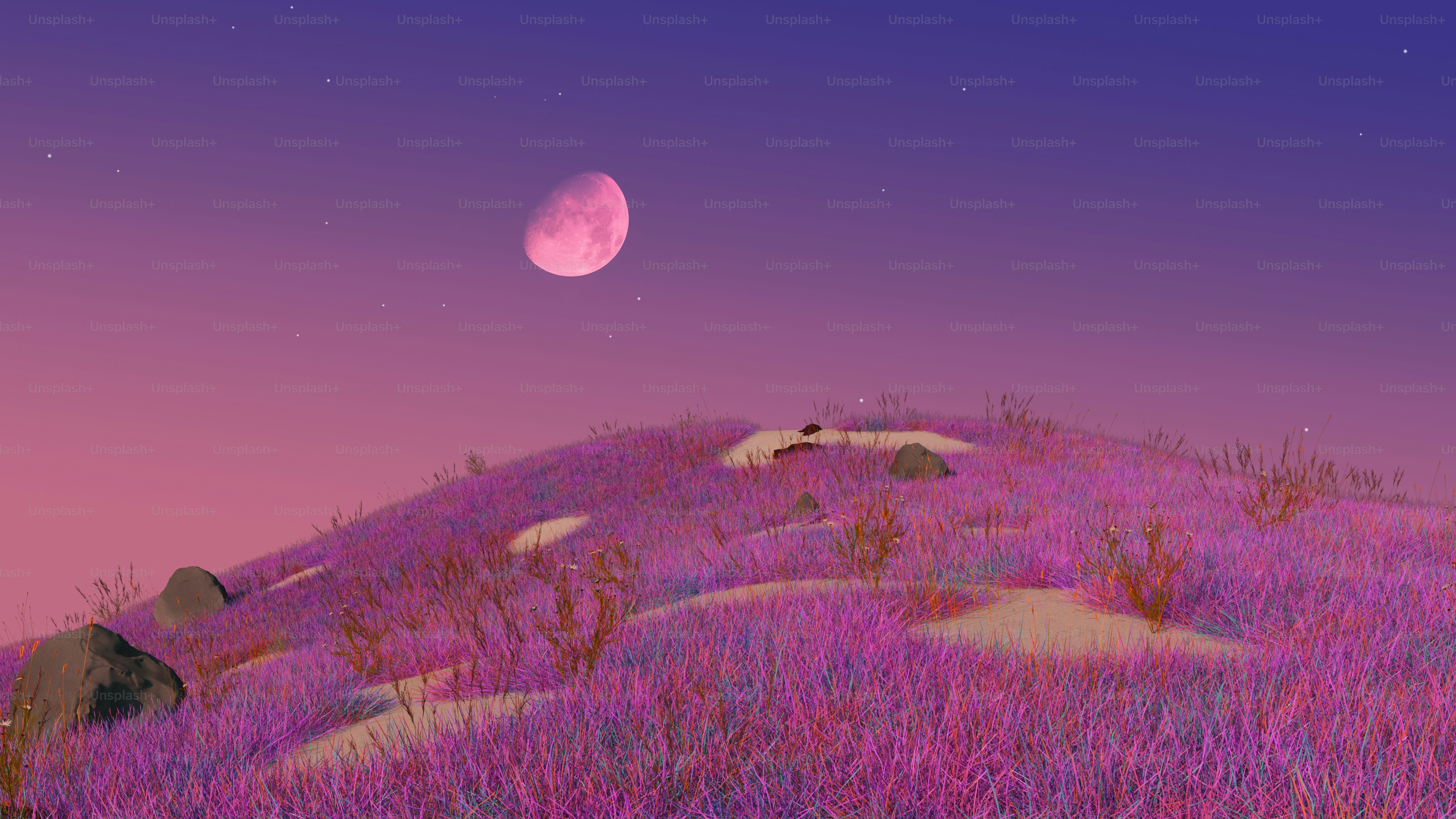 100+ Cyberpunk Wallpapers [HD] | Download Free Images On Unsplash