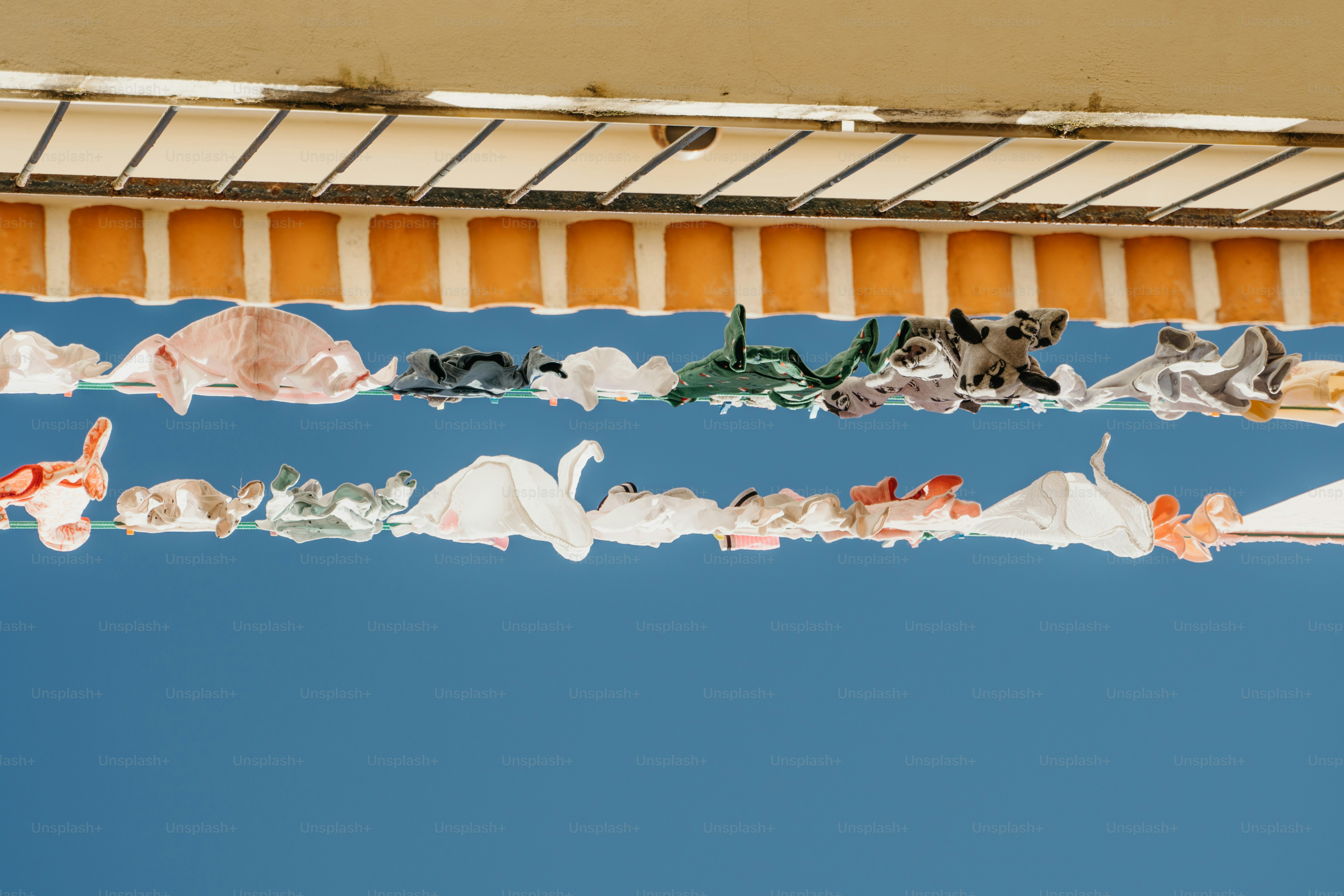 Elgato Cat Wallpaper Pictures | Download Free Images on Unsplash