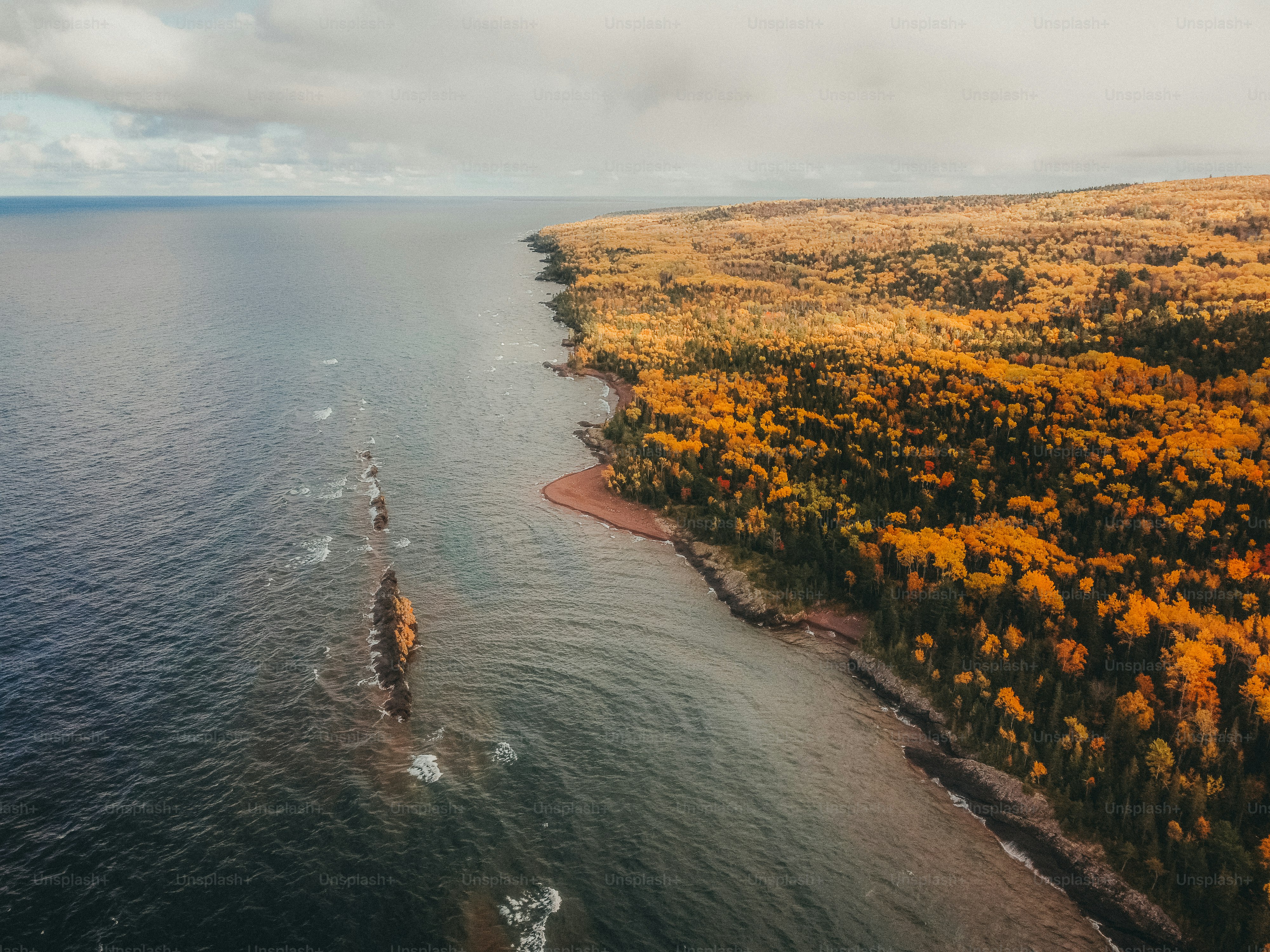 Foto Perairan besar yang dikelilingi oleh pepohonan – Gambar Wallpaper ...