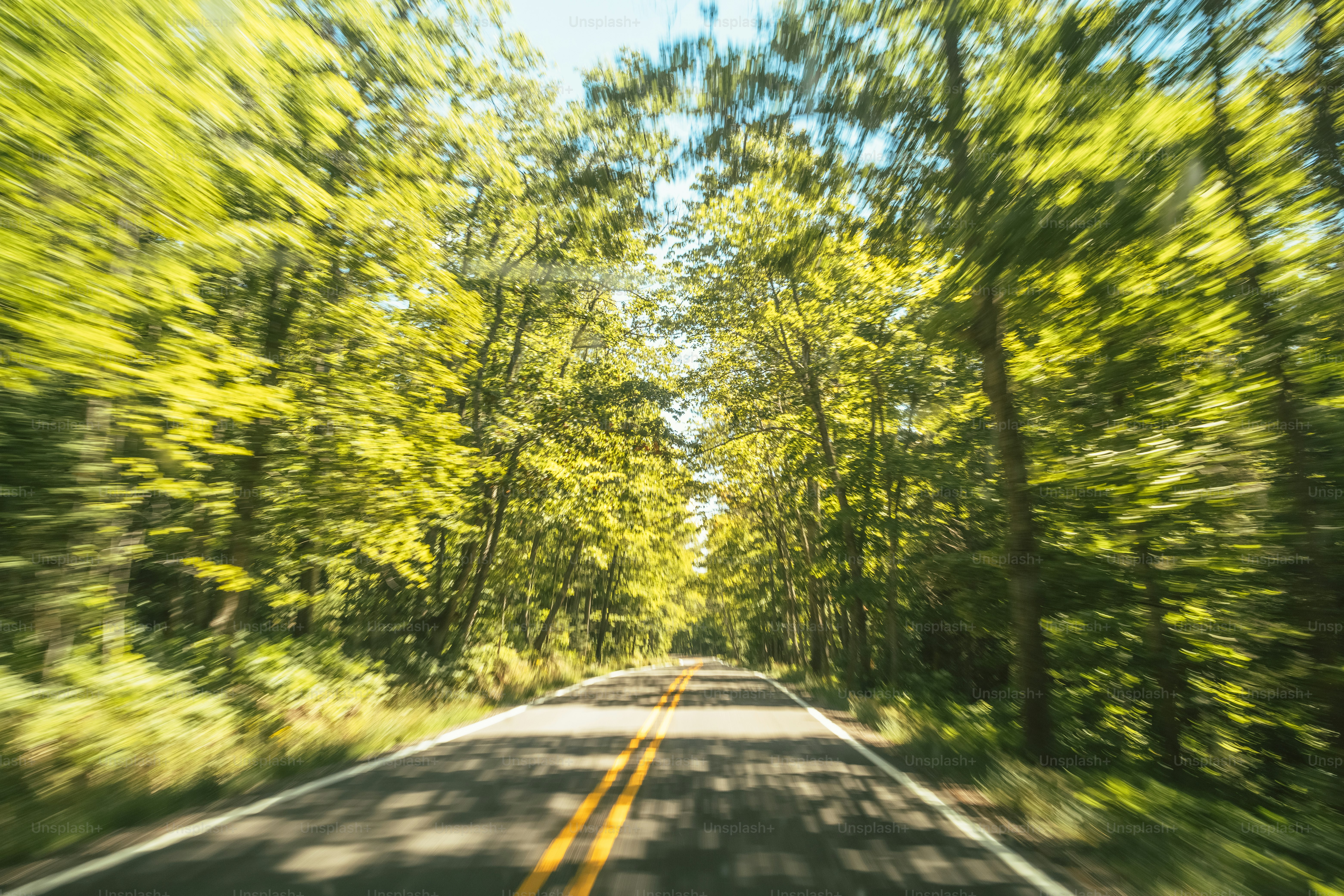 The view from a car driving down a tree lined road photo – Backgrounds ...