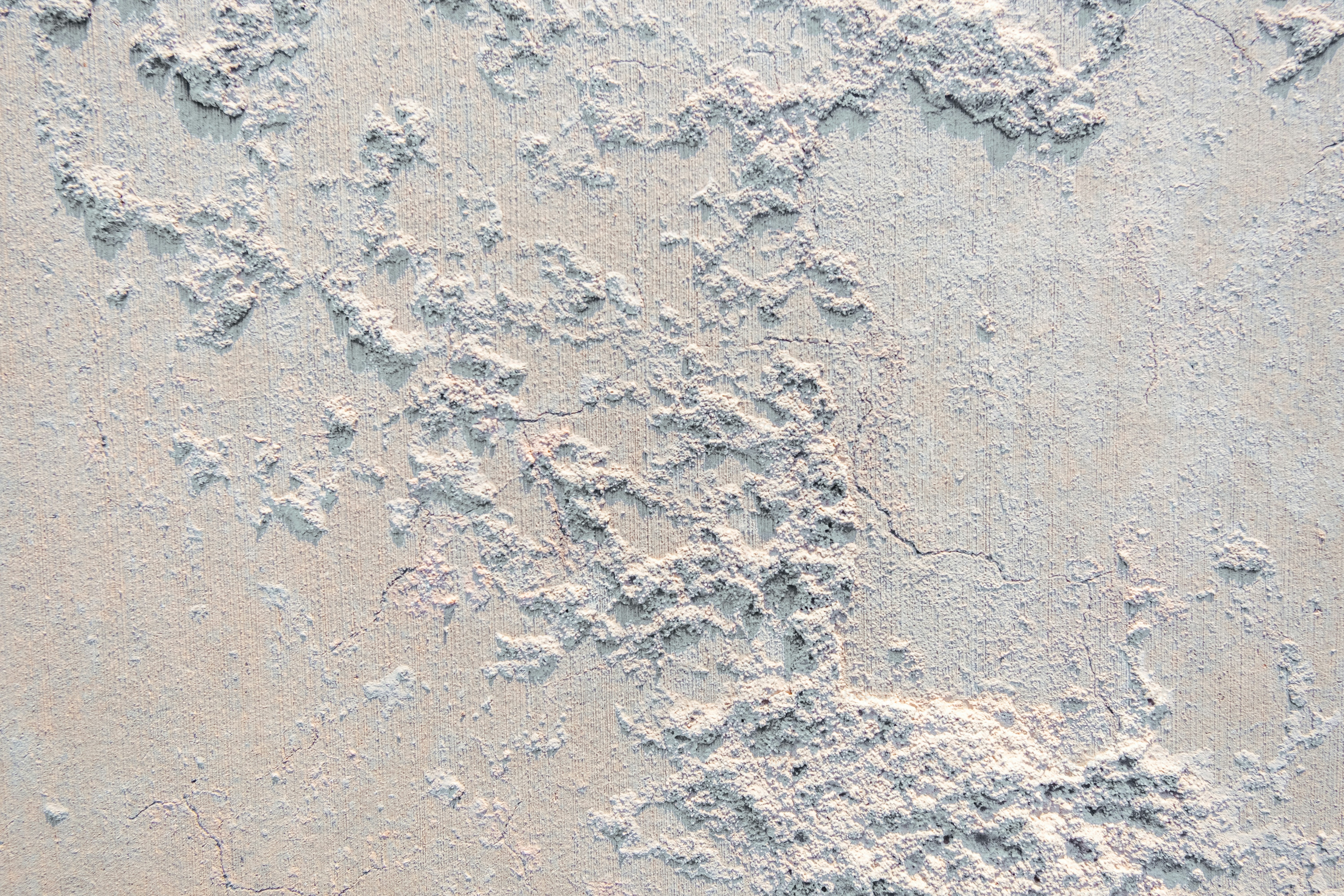 Damp Wall Pictures | Download Free Images on Unsplash