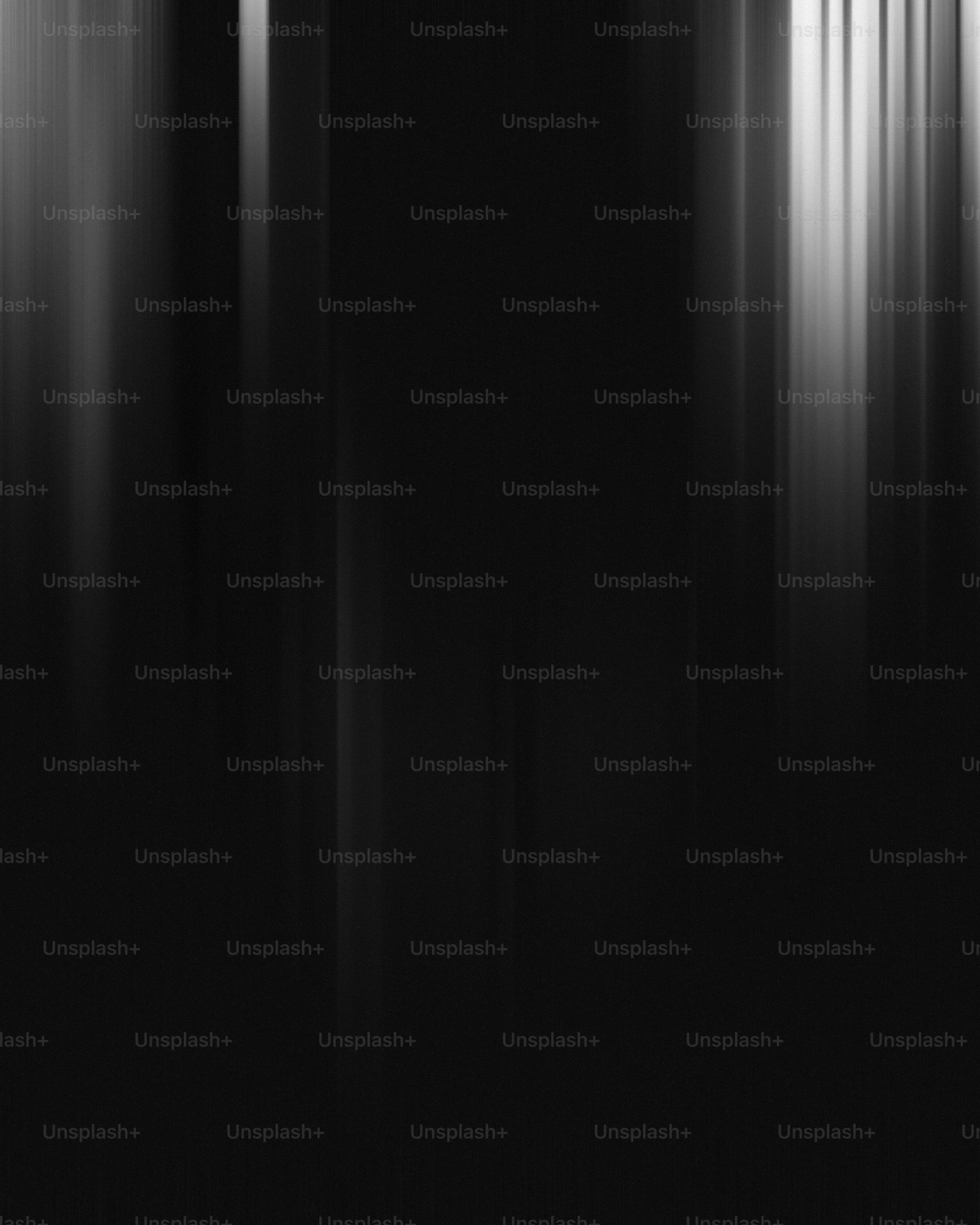 A black and white photo of a row of trees photo – Texture Image on Unsplash