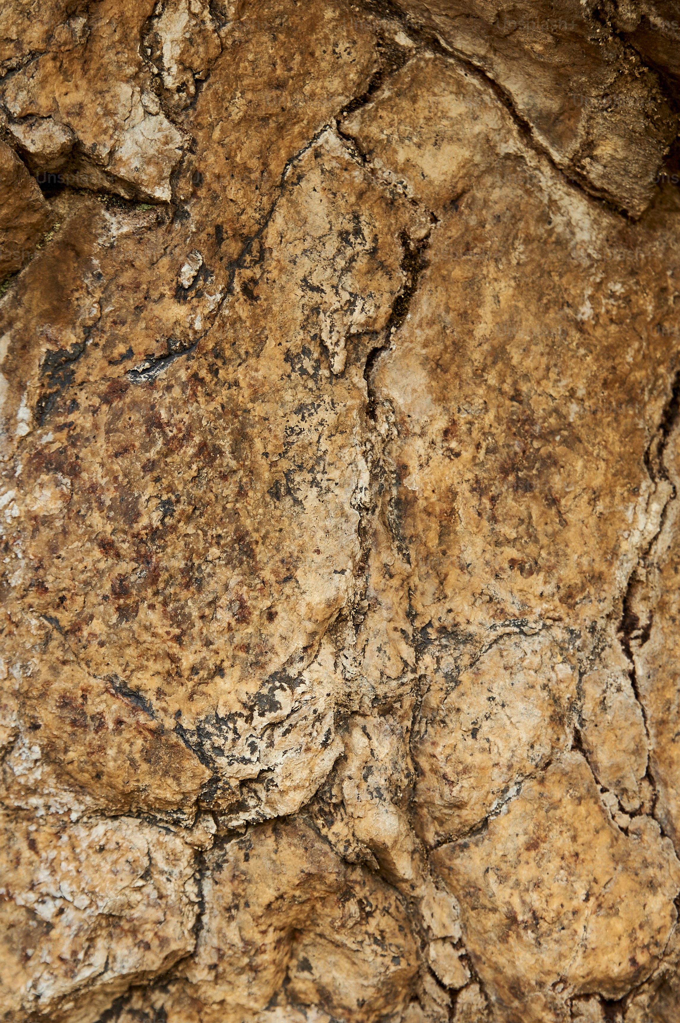 Un gros plan d’un rocher avec un oiseau perché dessus photo – Texture ...