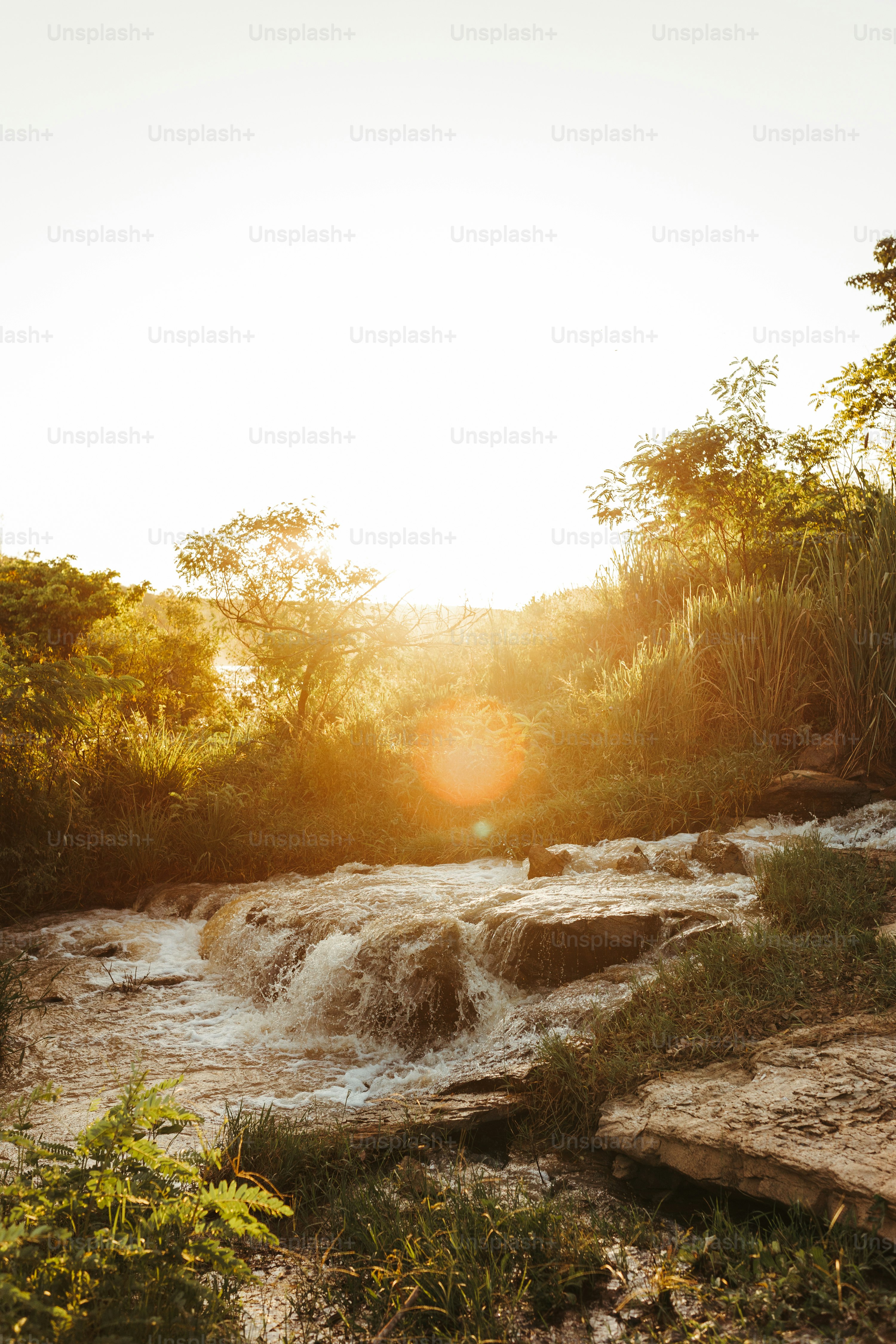 Le soleil brille au-dessus d’une petite rivière photo – La nature Photo ...