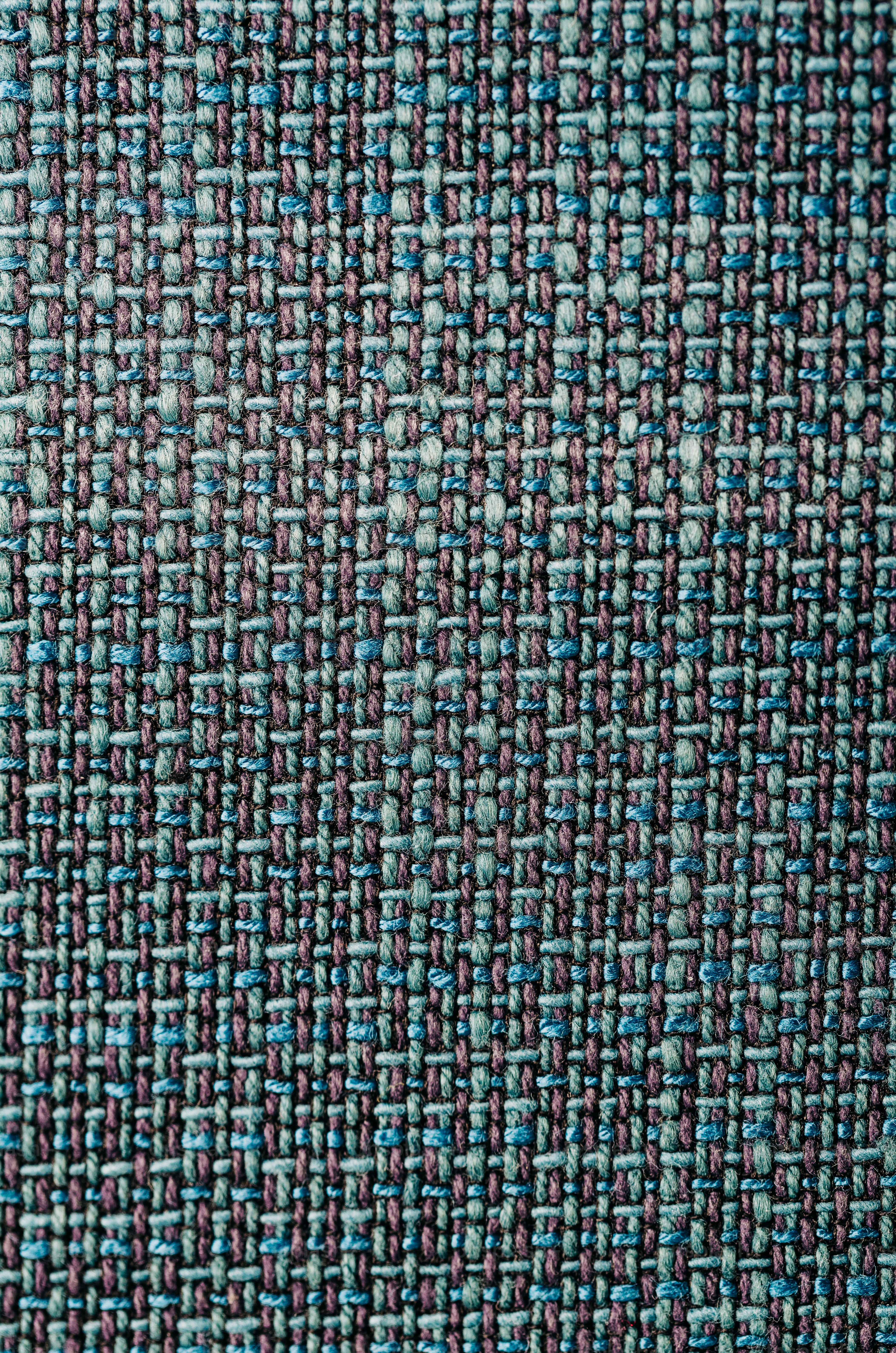 A close up of a white shell on a beach photo – Shell Image on Unsplash