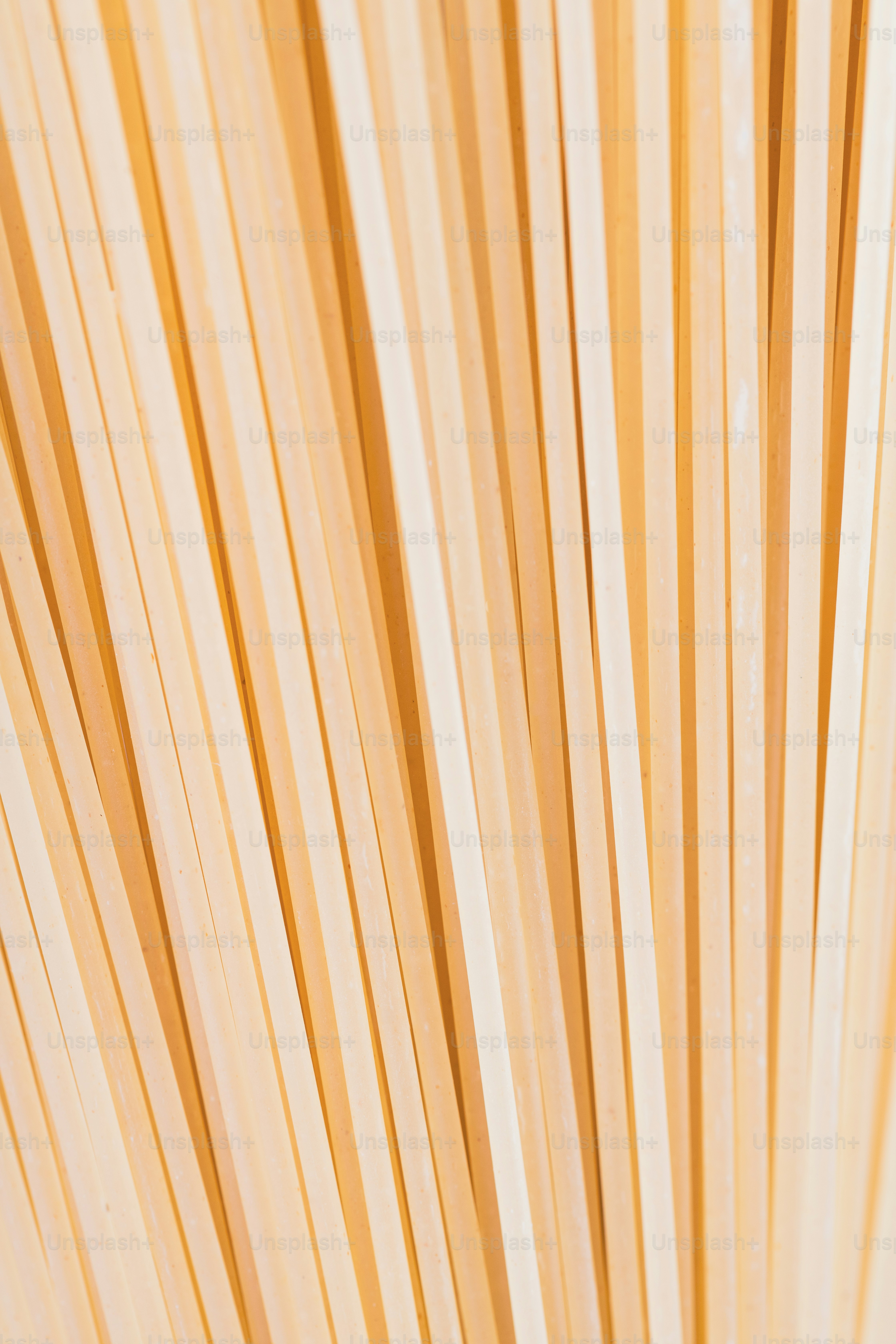 A close up of a white shell on a beach photo – Pattern Image on Unsplash