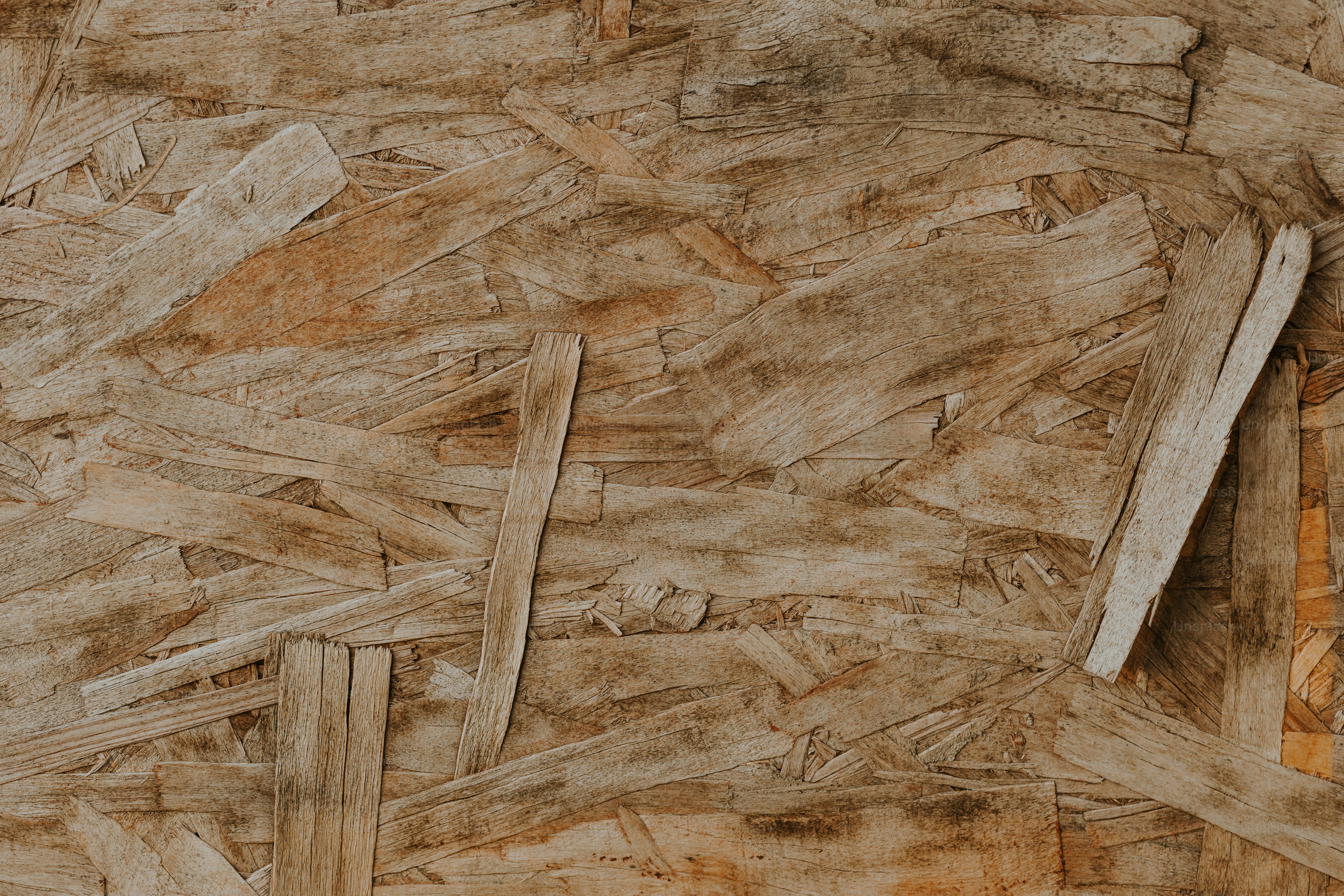 A close up of a piece of wood with a bird's eye photo – Wood Image on ...