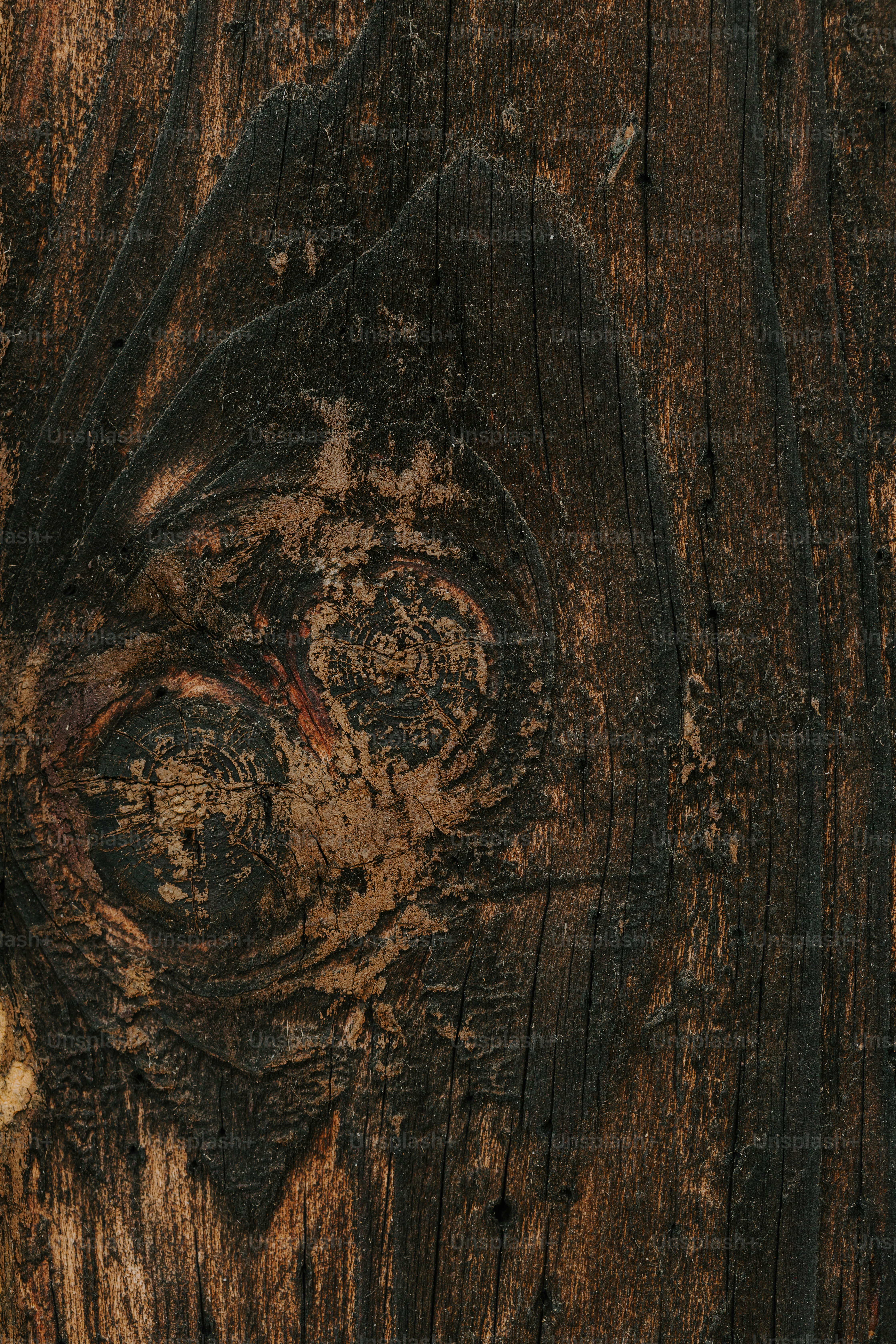 550+ Dark Color Pictures | Download Free Images on Unsplash