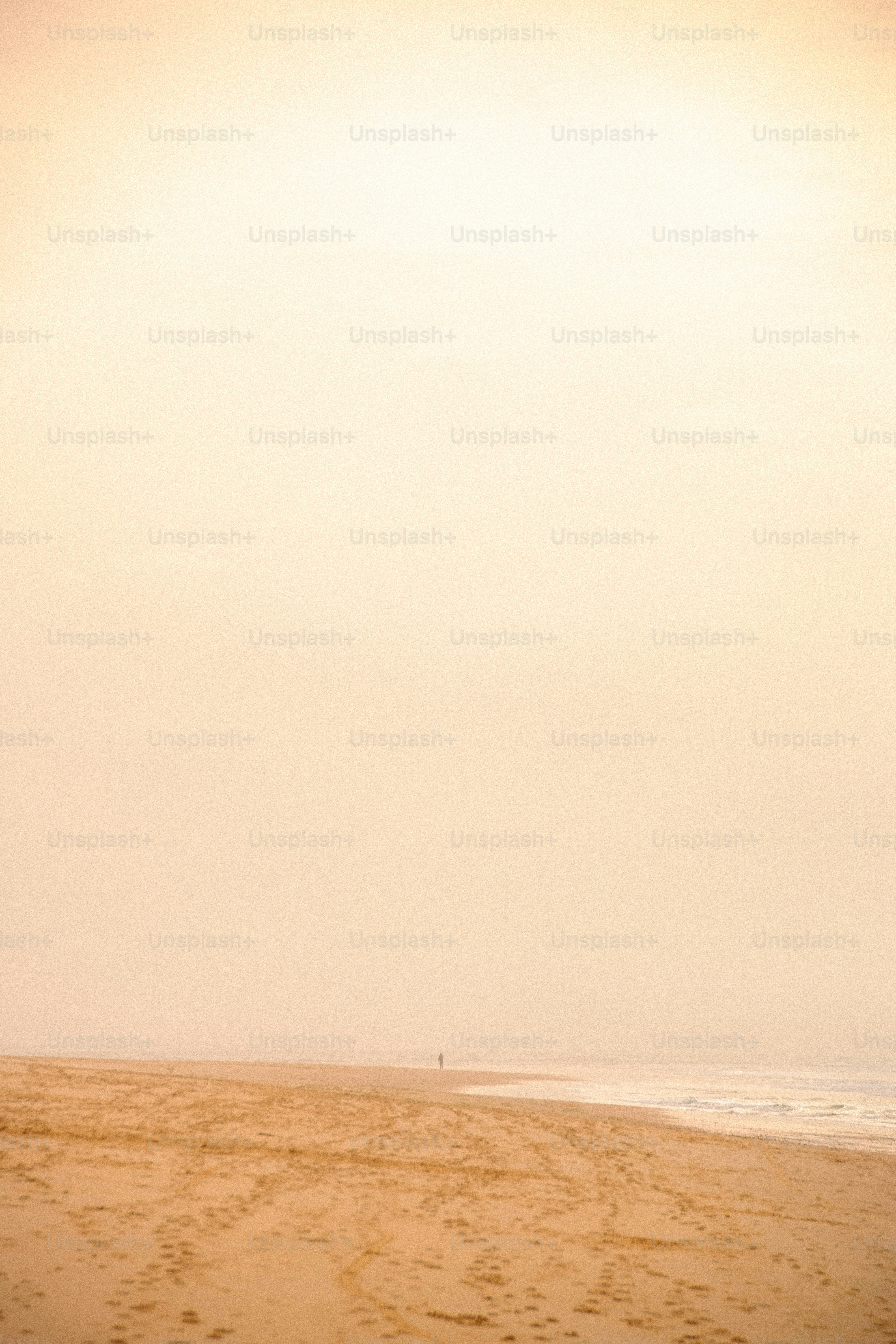 A person walking on a beach carrying a surfboard photo – Sea haar Image ...