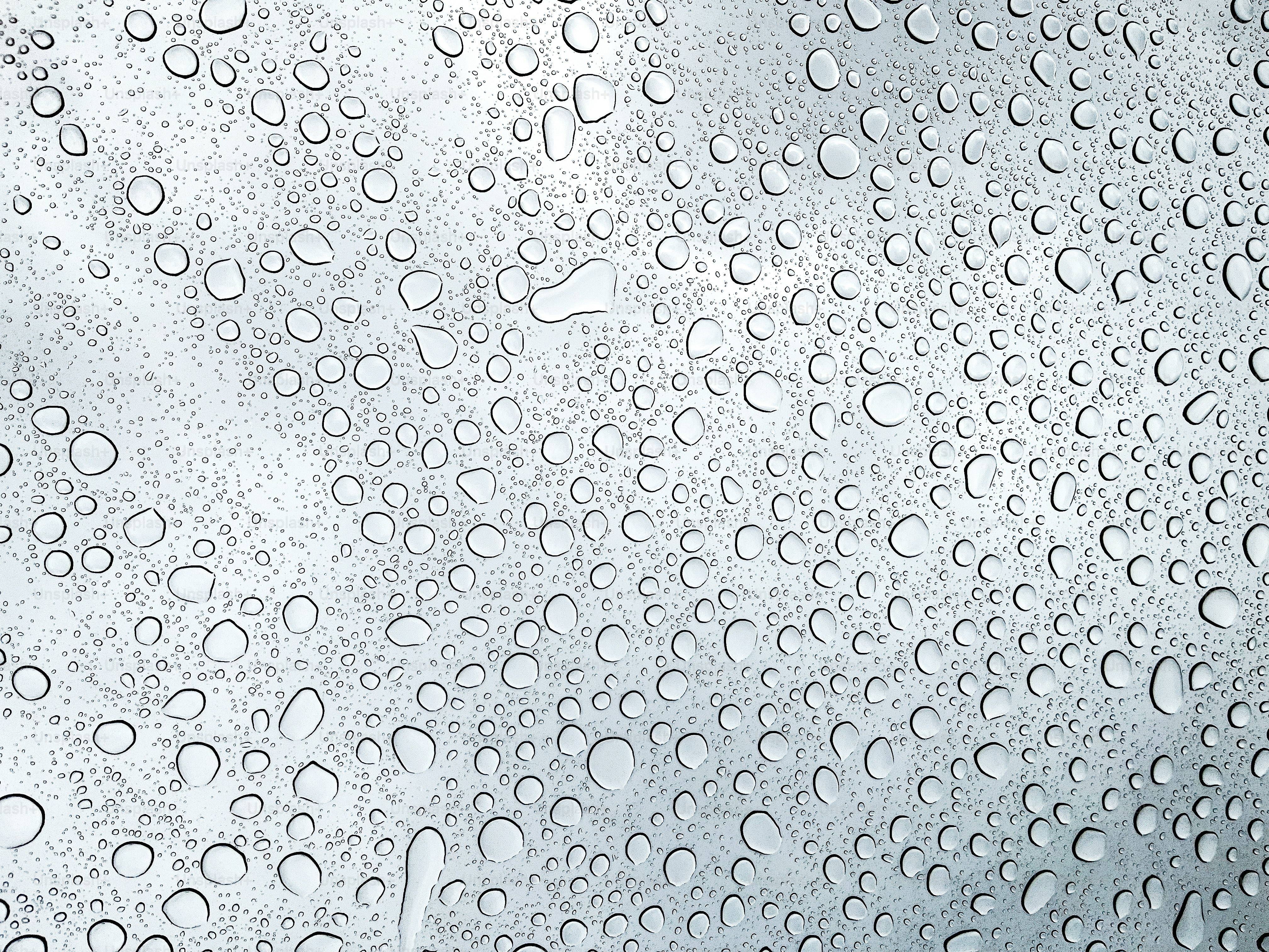 A close up of water droplets on a window photo – Rain drops Image on ...