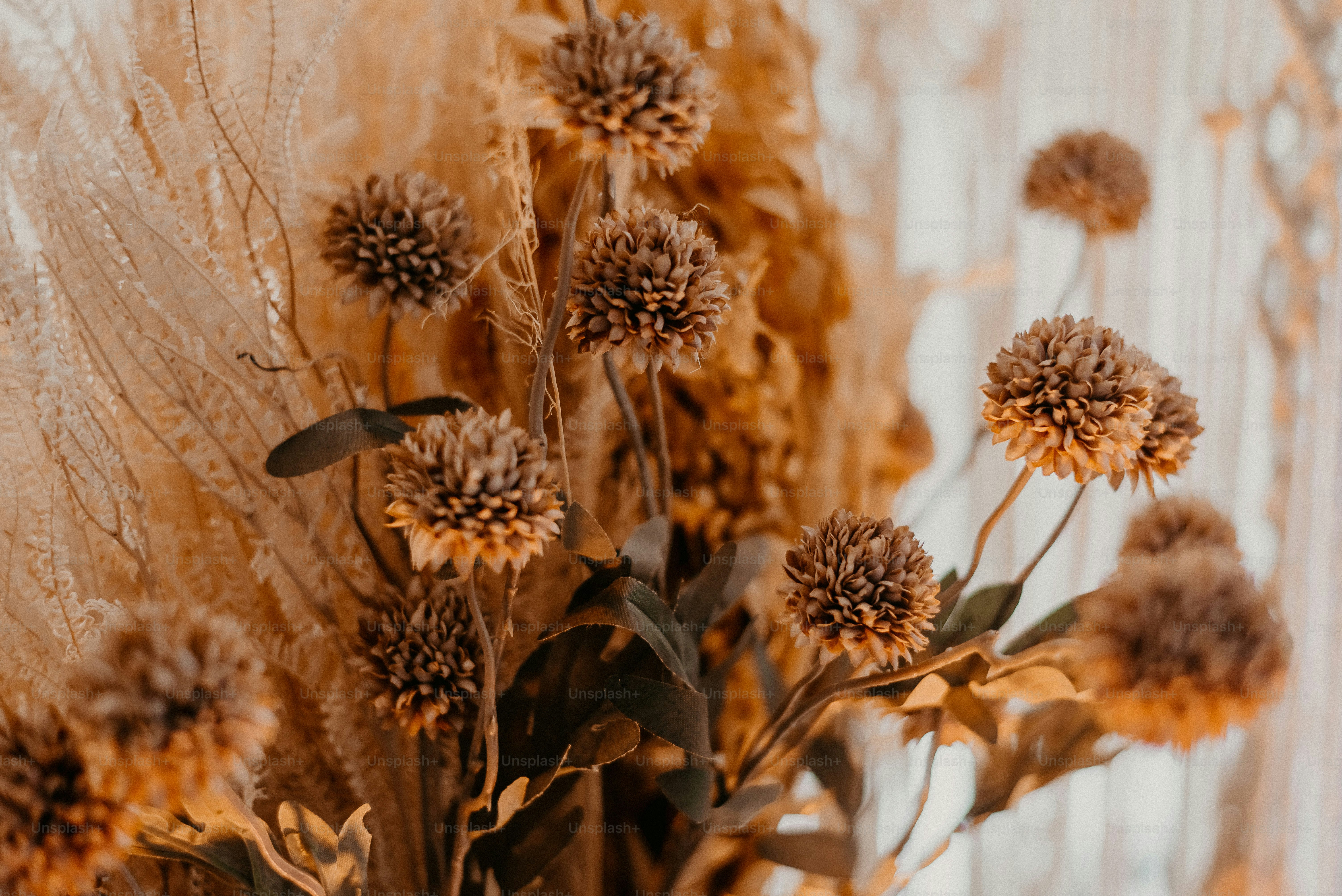 Un jarrón lleno de muchas flores marrones foto – Imagen de Arreglo ...