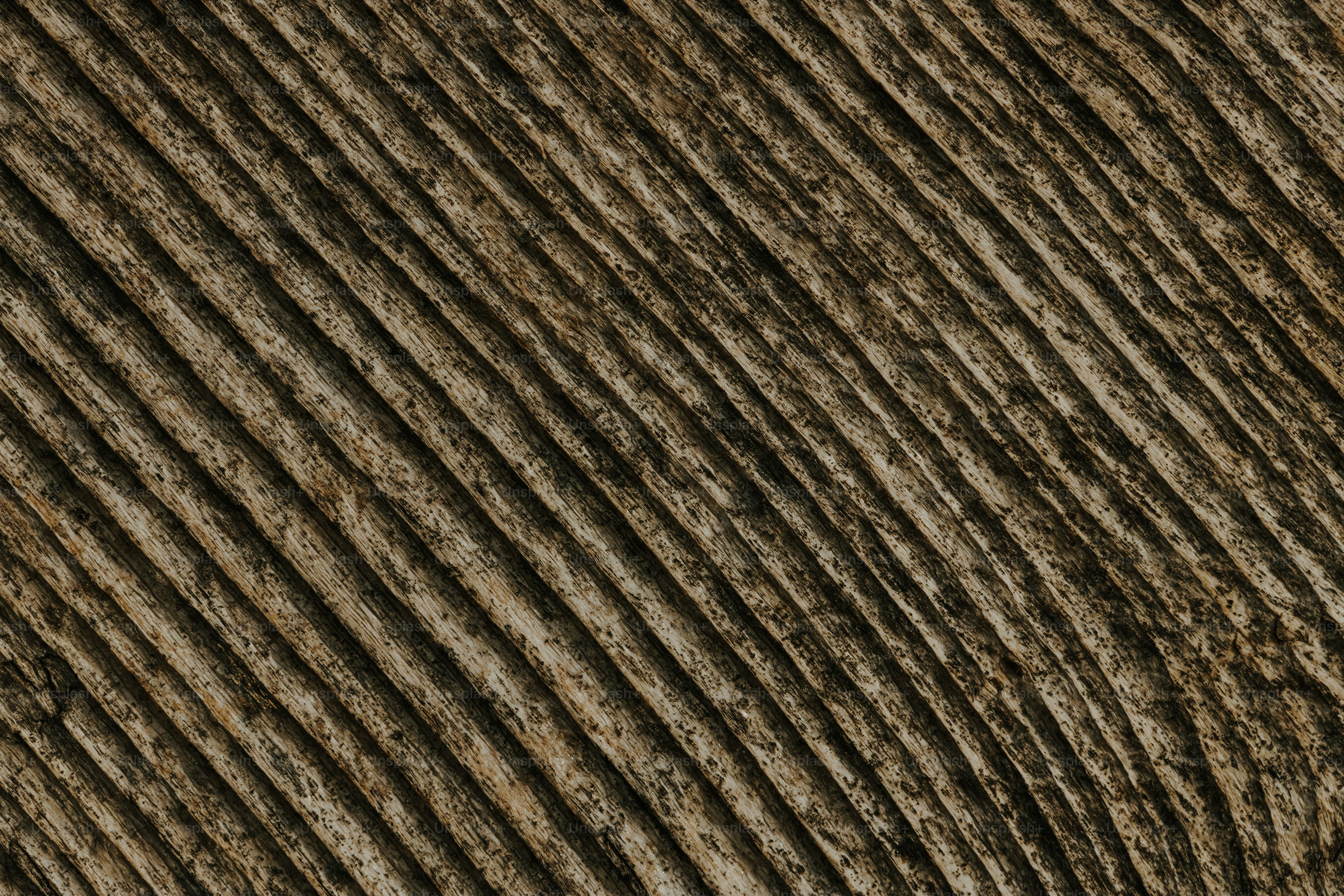 A close up view of a wood texture photo – Wood pattern Image on Unsplash