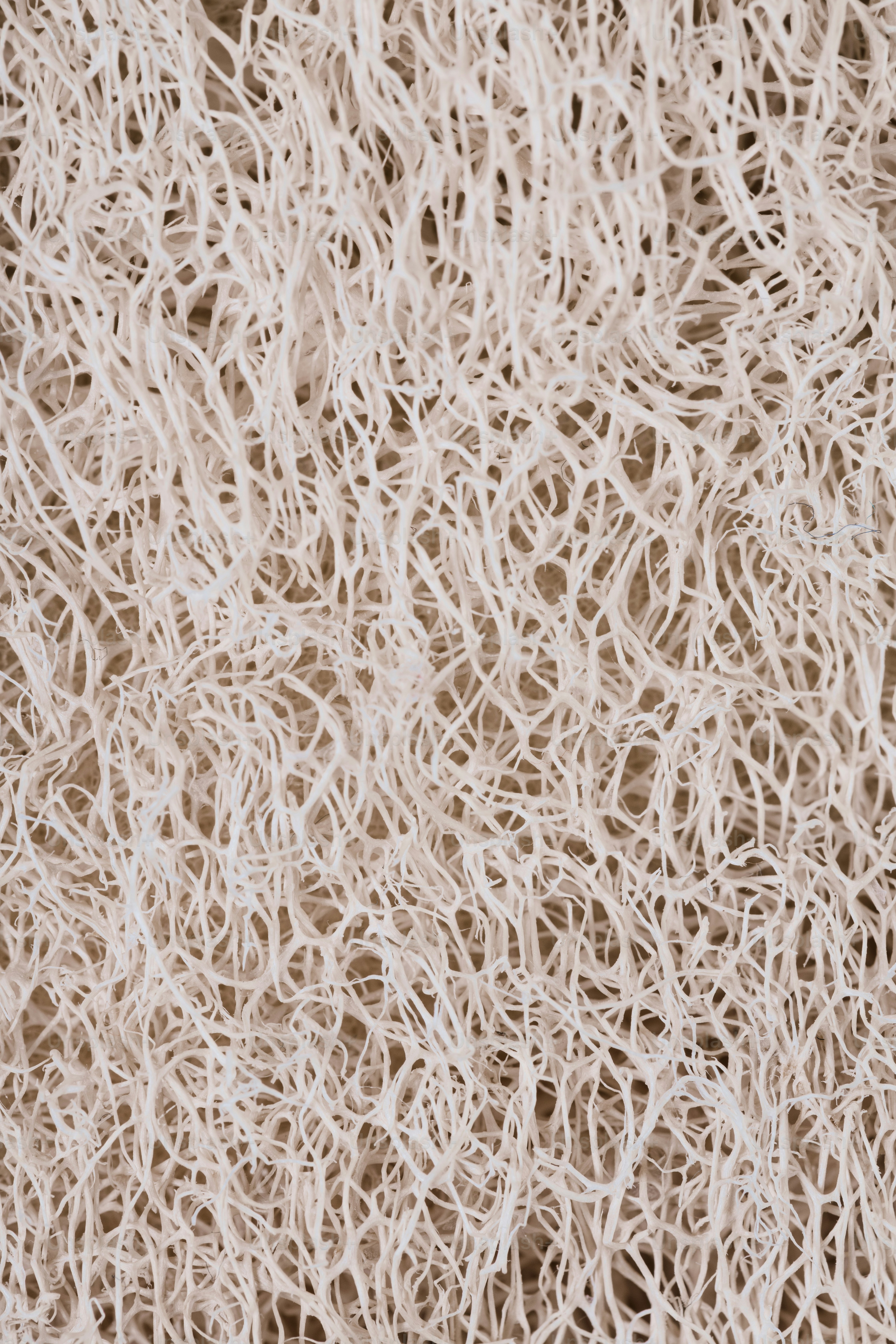 A close up of a sheep's wool texture photo – Pattern Image on Unsplash