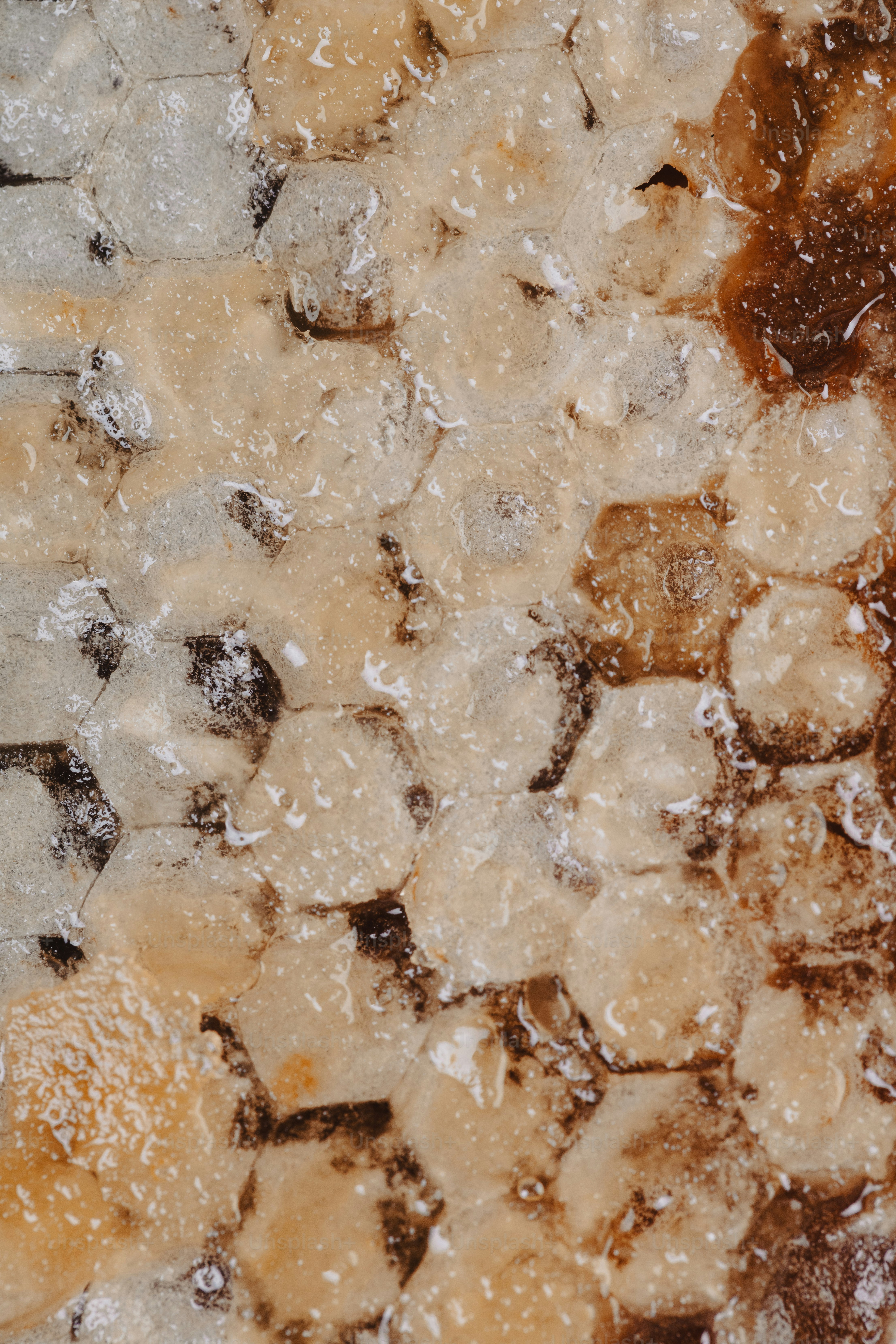 Honey Texture Pictures | Download Free Images on Unsplash