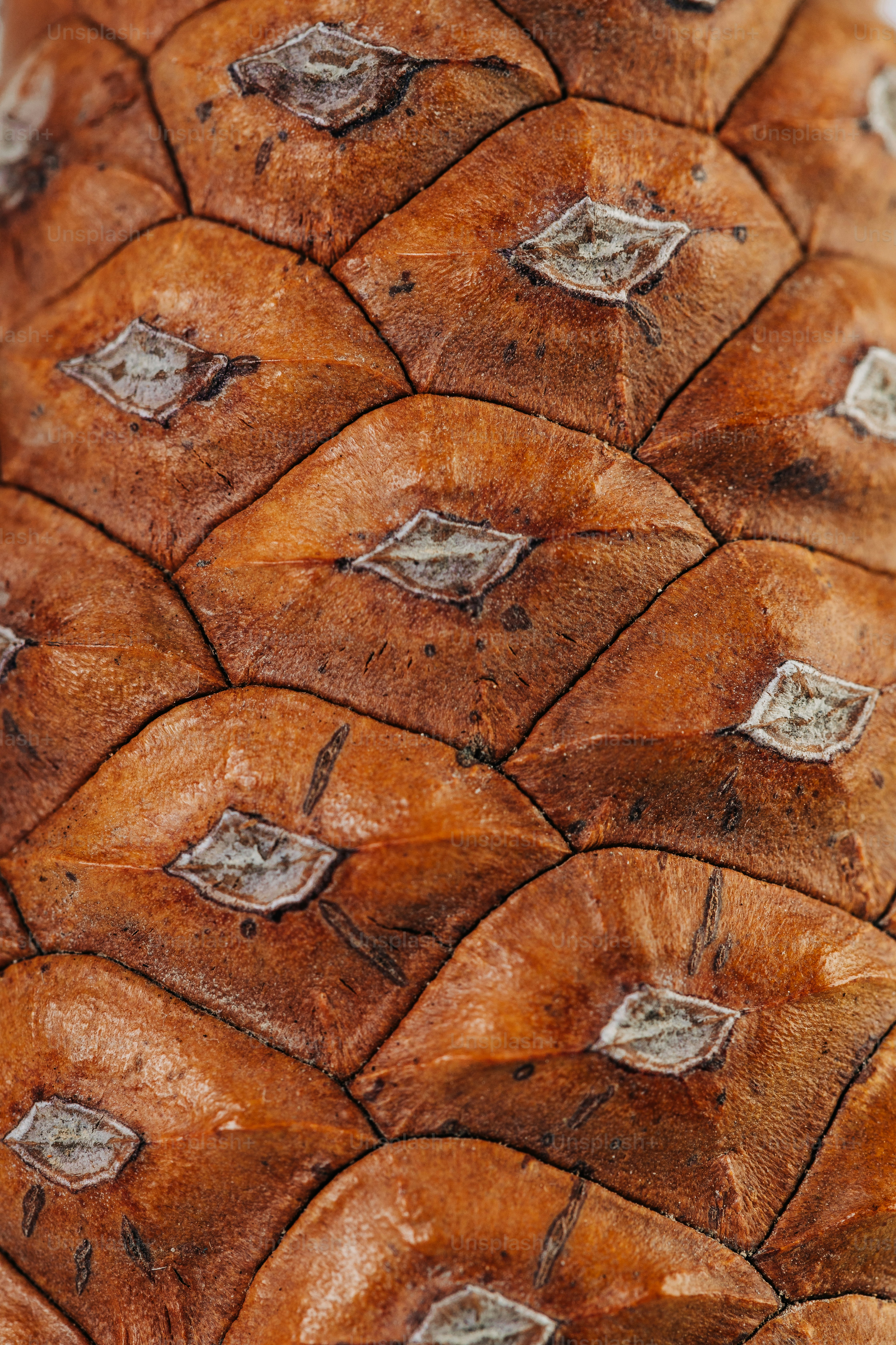 Texure Photos | Télécharger des images gratuites sur Unsplash