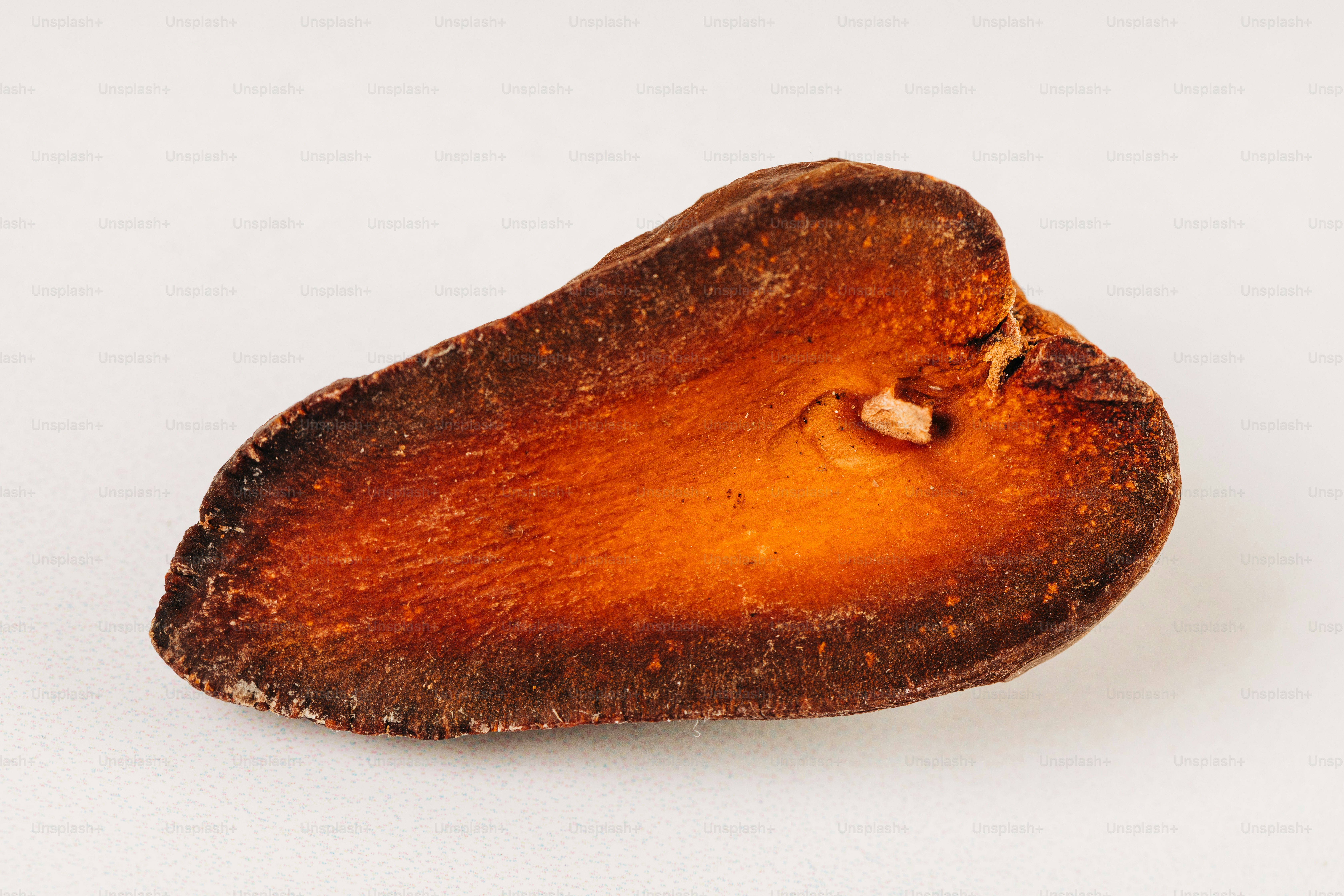 The Acorn Doesnt Fall Far From The Tree Hutton Gibson Mel Gibson ...