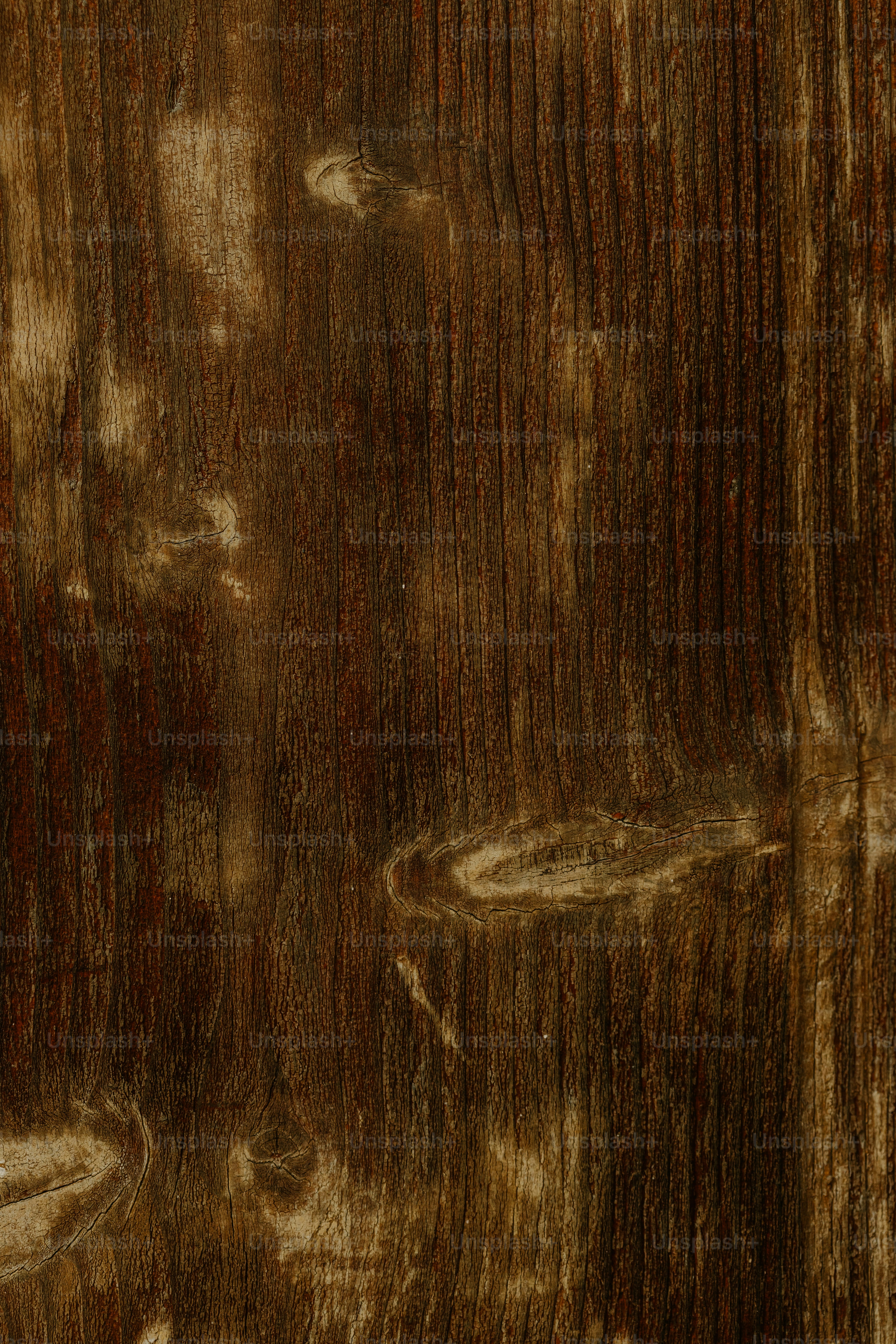 DARK WOOD GRAIN Pictures | Download Free Images on Unsplash