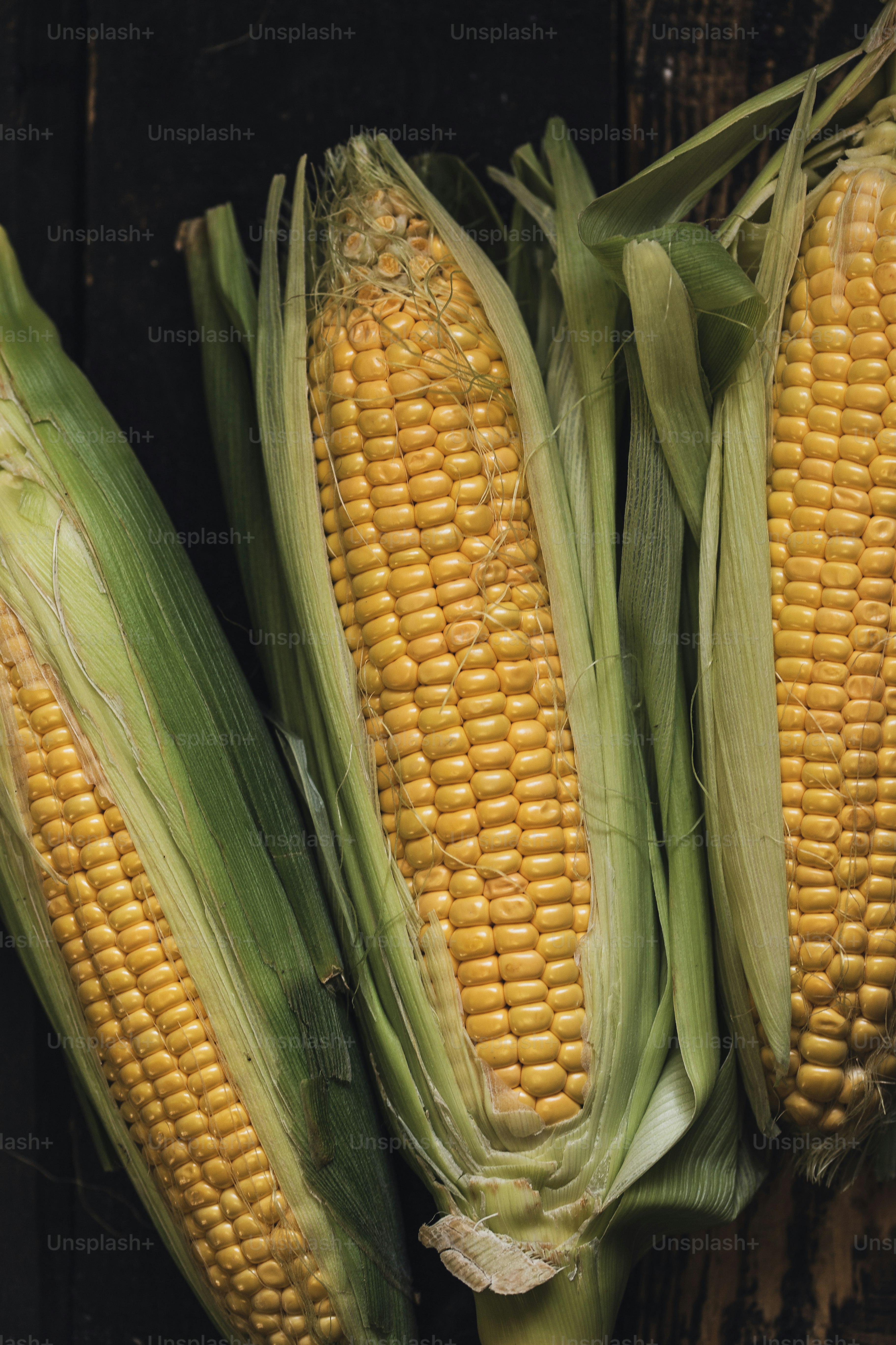 Corn Cob Pictures | Download Free Images on Unsplash