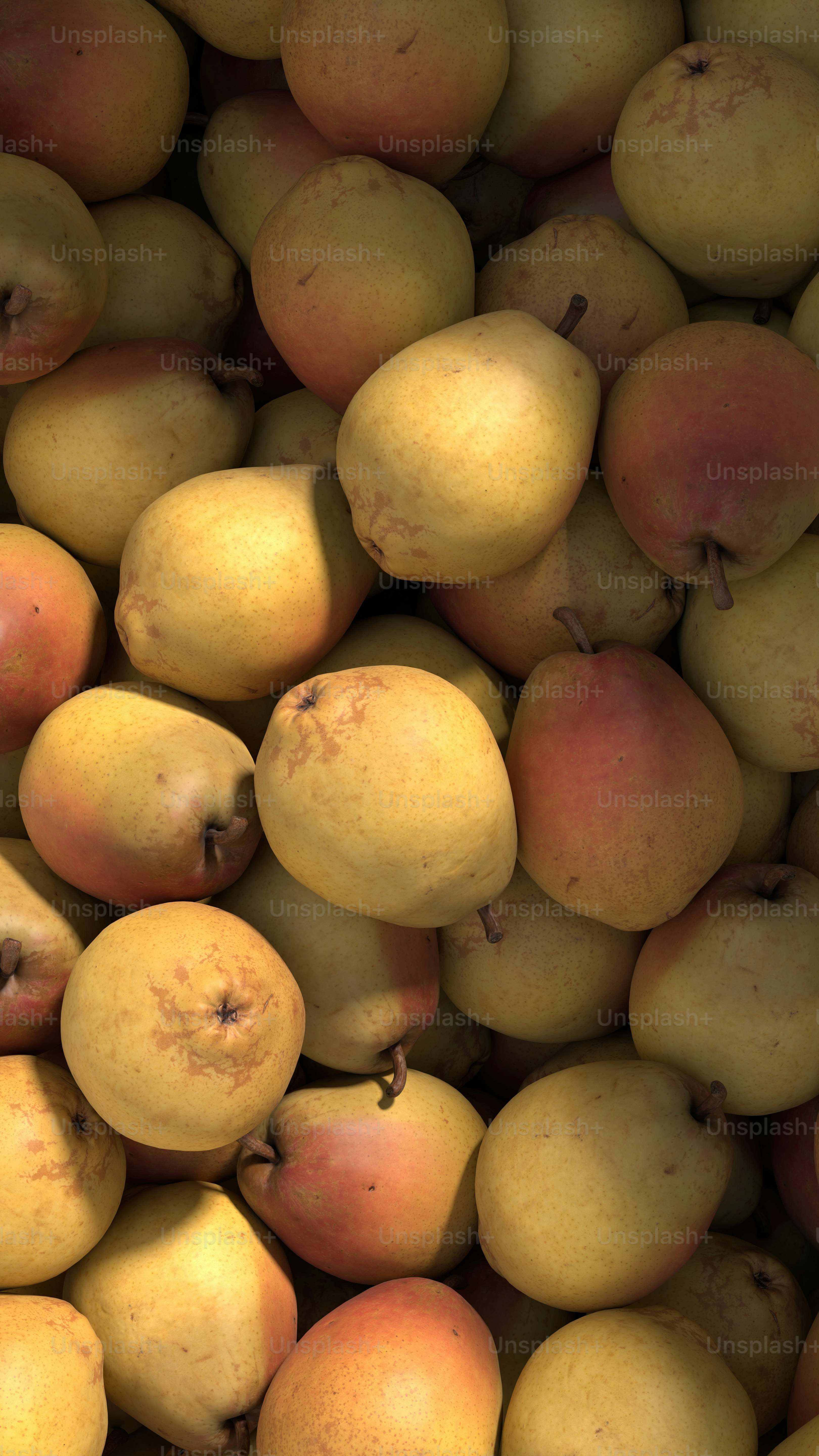 500+ photos de poire [HD] | Téléchargez des images gratuites sur Unsplash