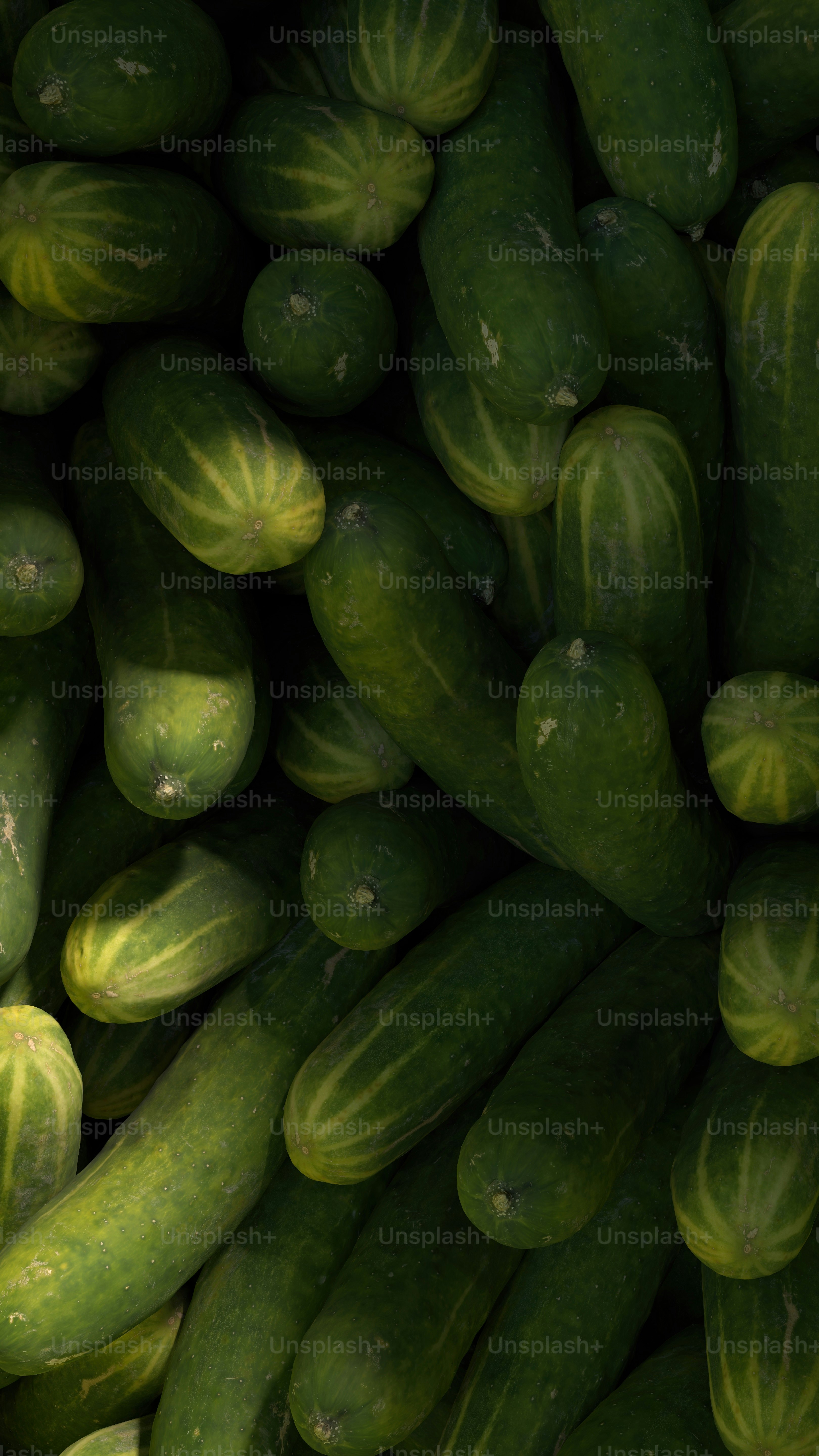 500+ Cucumber Pictures | Download Free Images on Unsplash