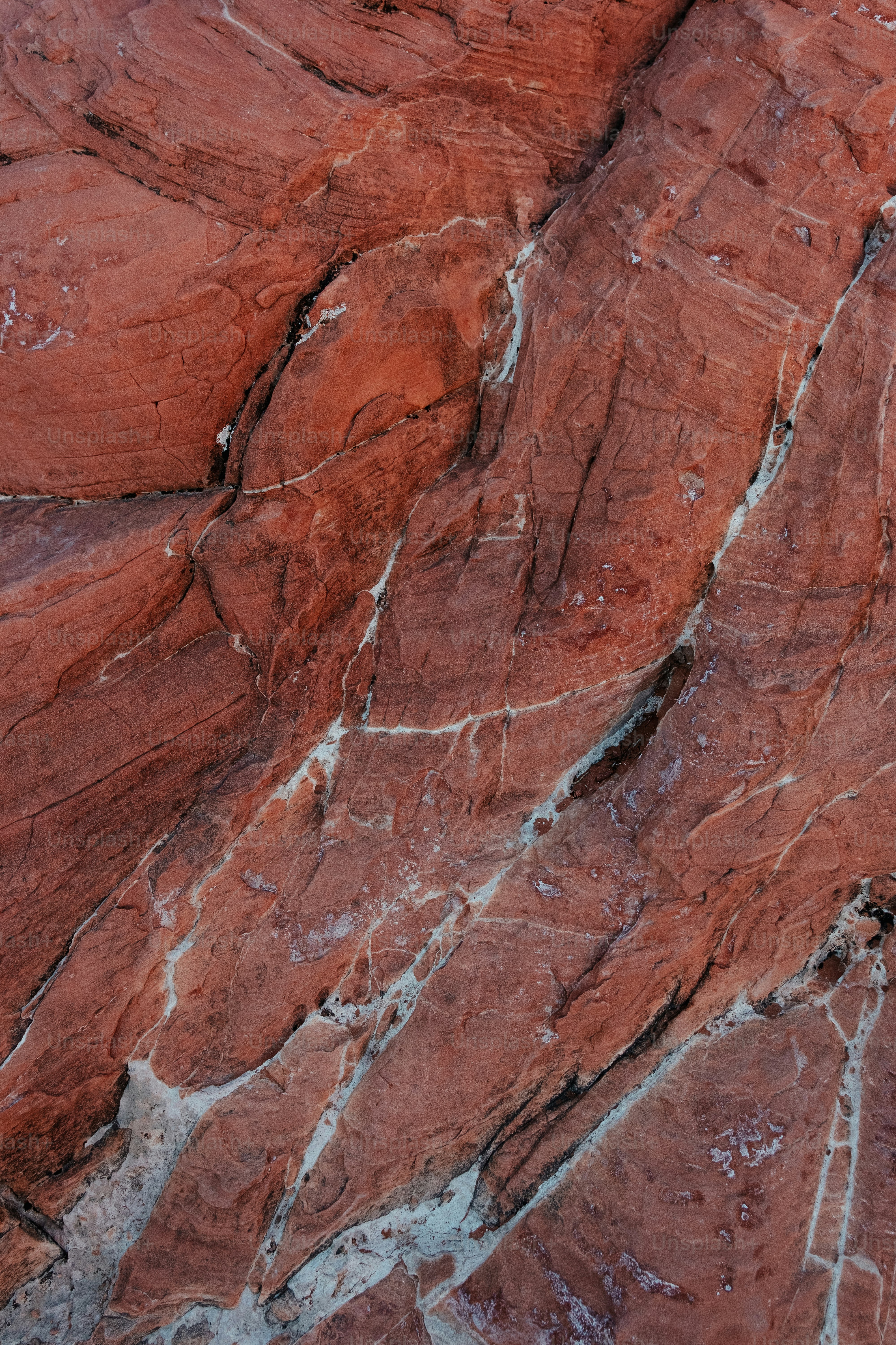 Un oiseau est perché sur un rocher rouge photo – Image de Texture ...