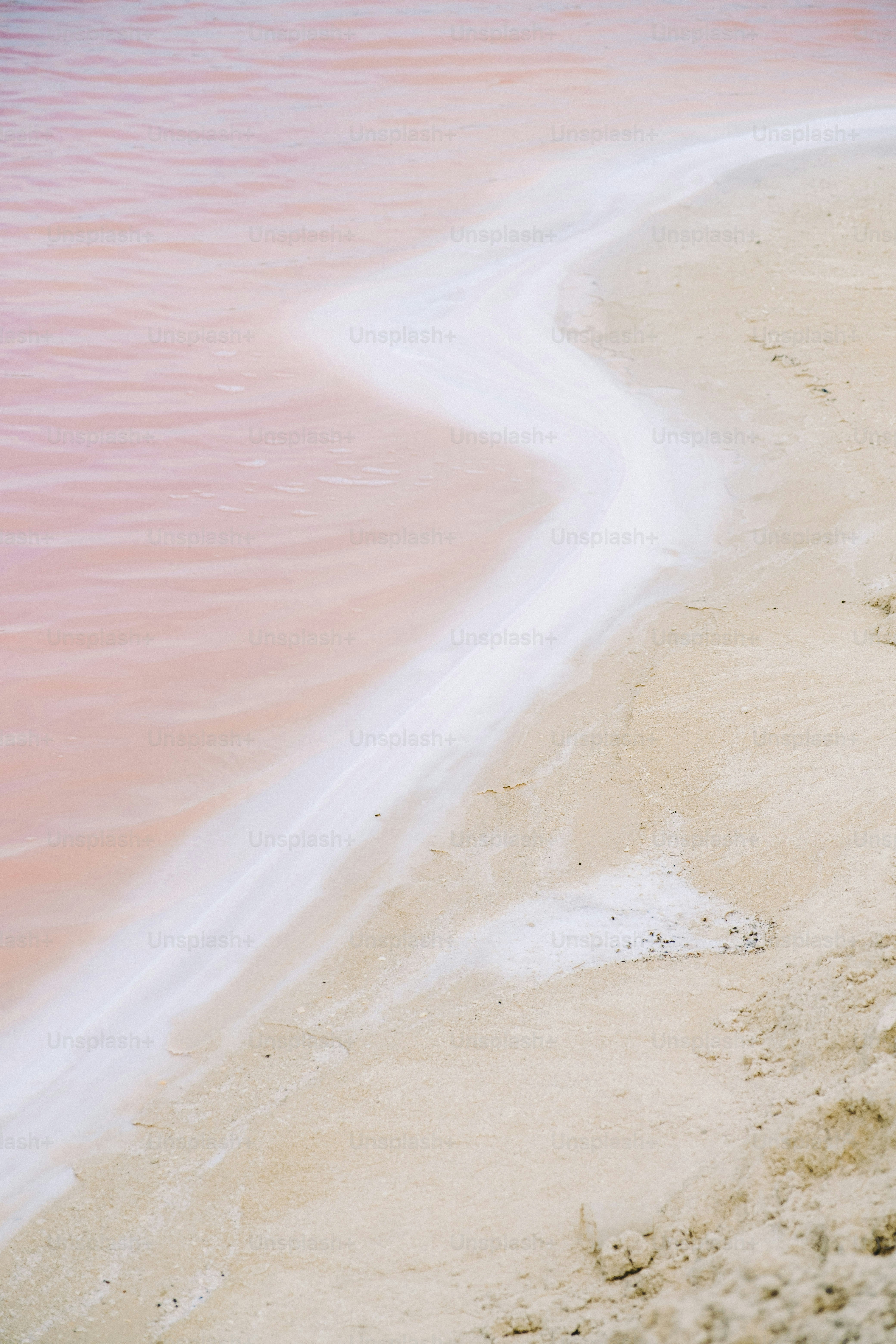 Pink Sea Pictures | Download Free Images on Unsplash