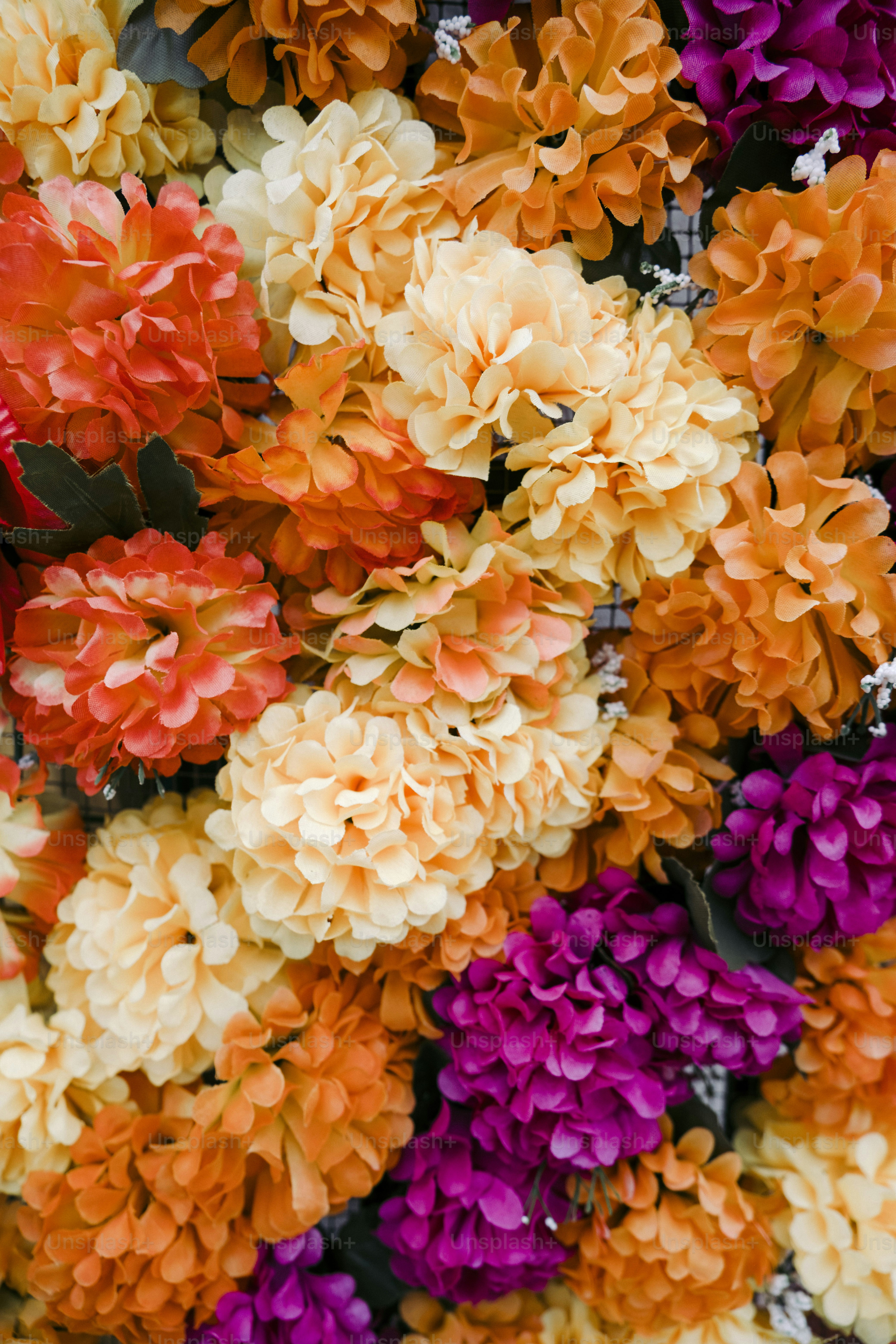 Best 100+ Flower Texture Pictures | Download Free Images on Unsplash