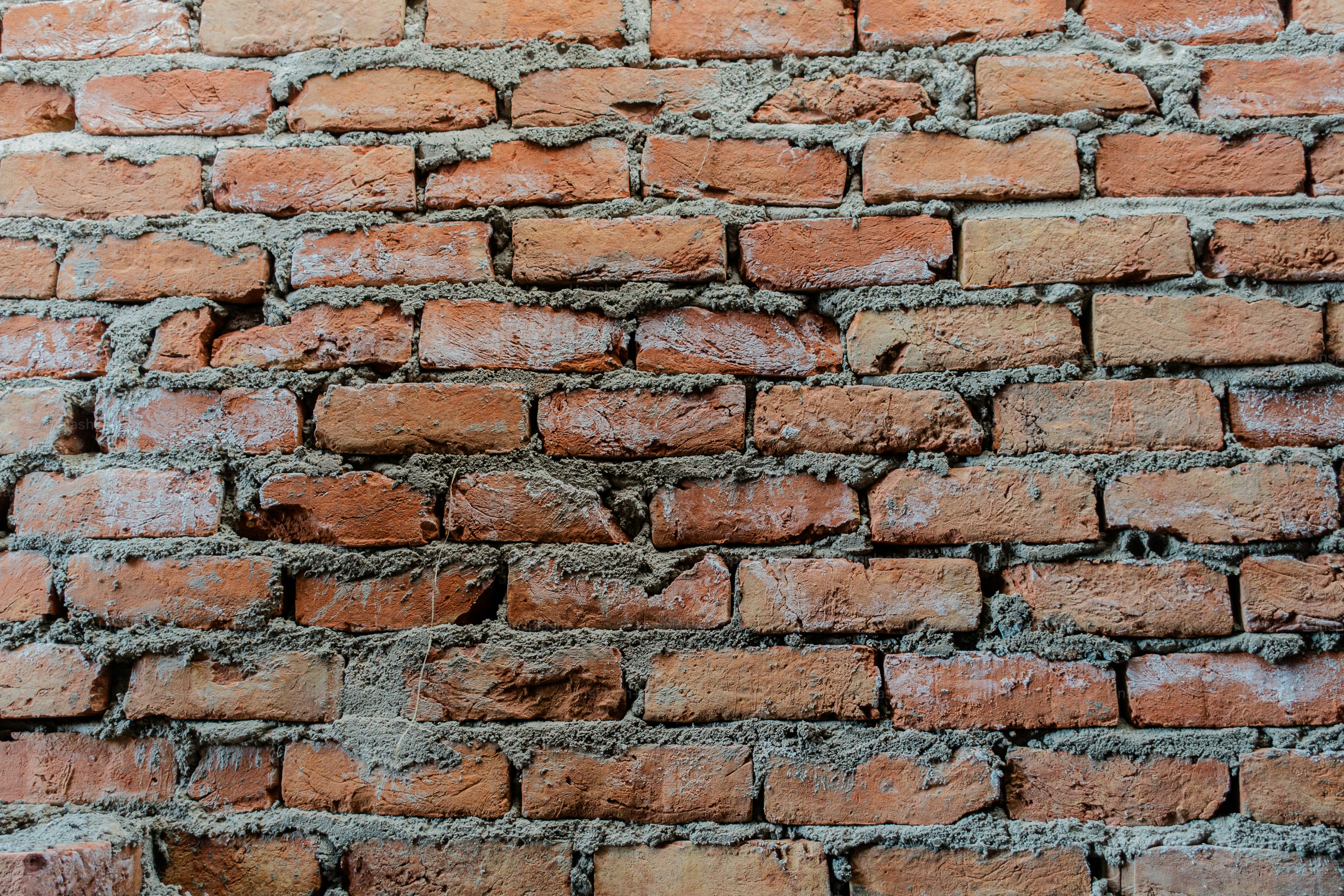 A close up of a brick wall made of bricks photo – Red brick wall Image ...
