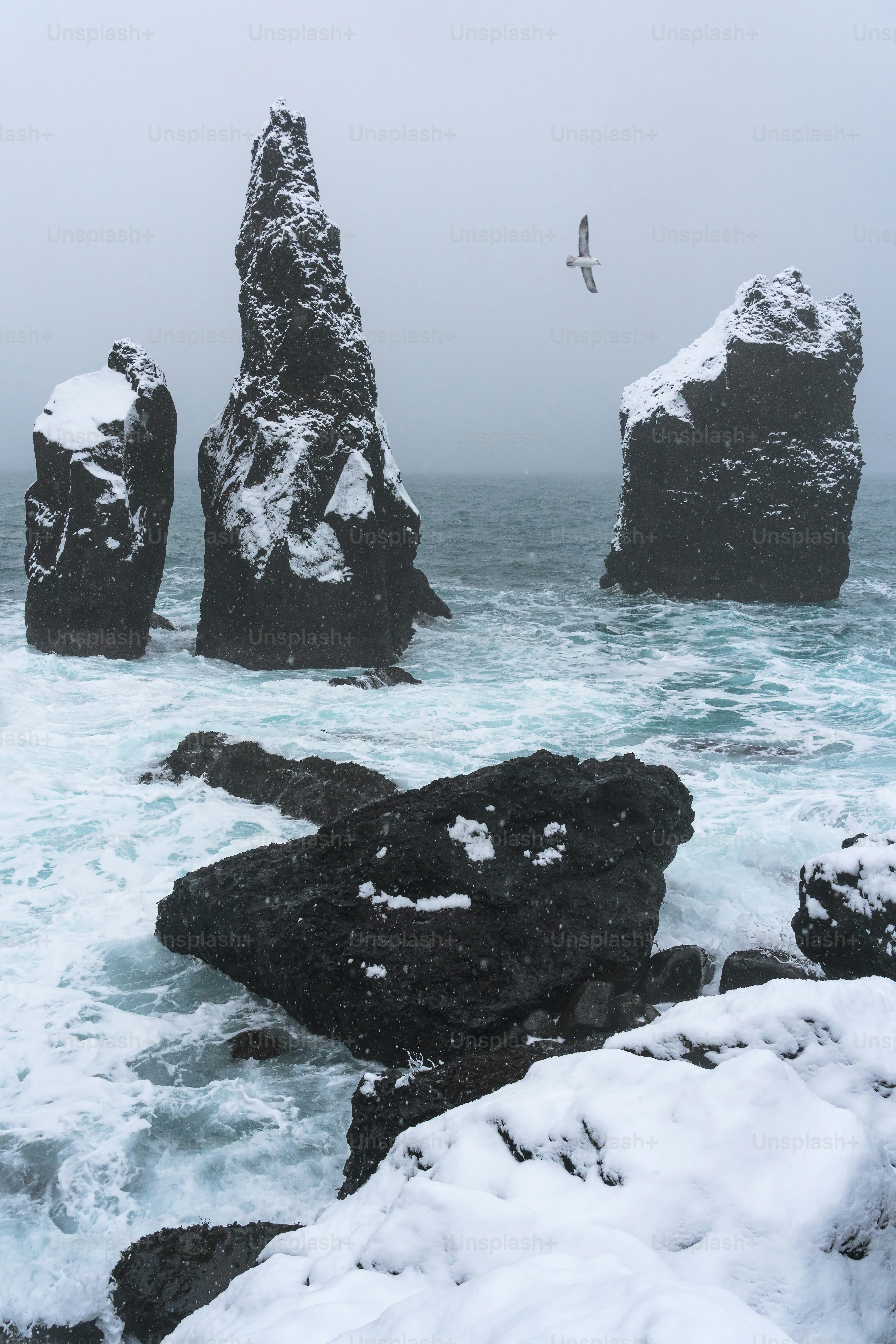 화산석 사진 | Unsplash에서 무료 이미지 다운로드